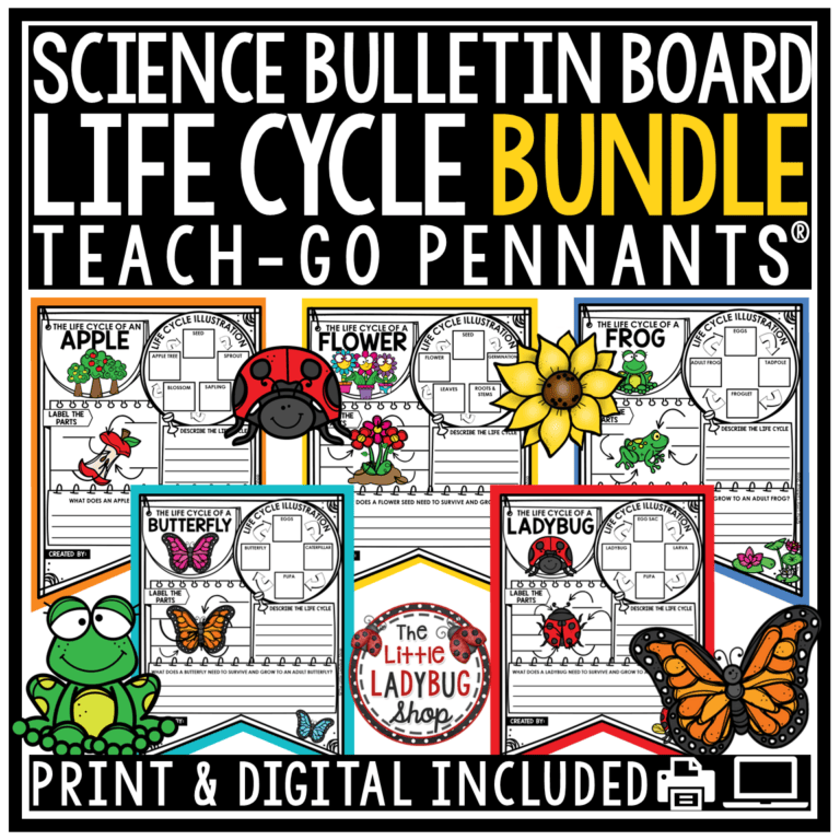 Ladybug Bee Life Cycle of a Plant Butterfly Frog Spring Activities ...