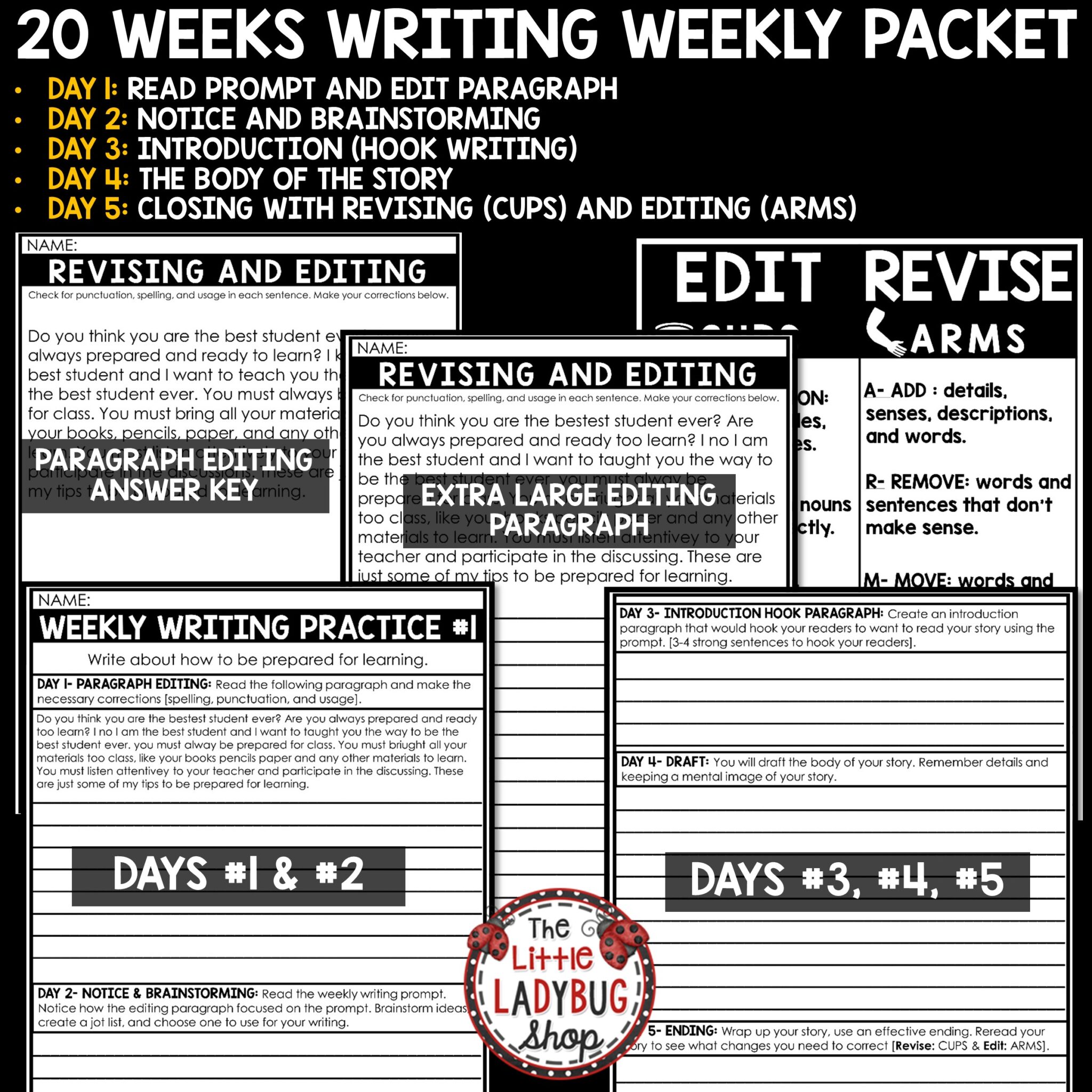 ELA Test Prep Writing Prompts - The Little Ladybug Shop