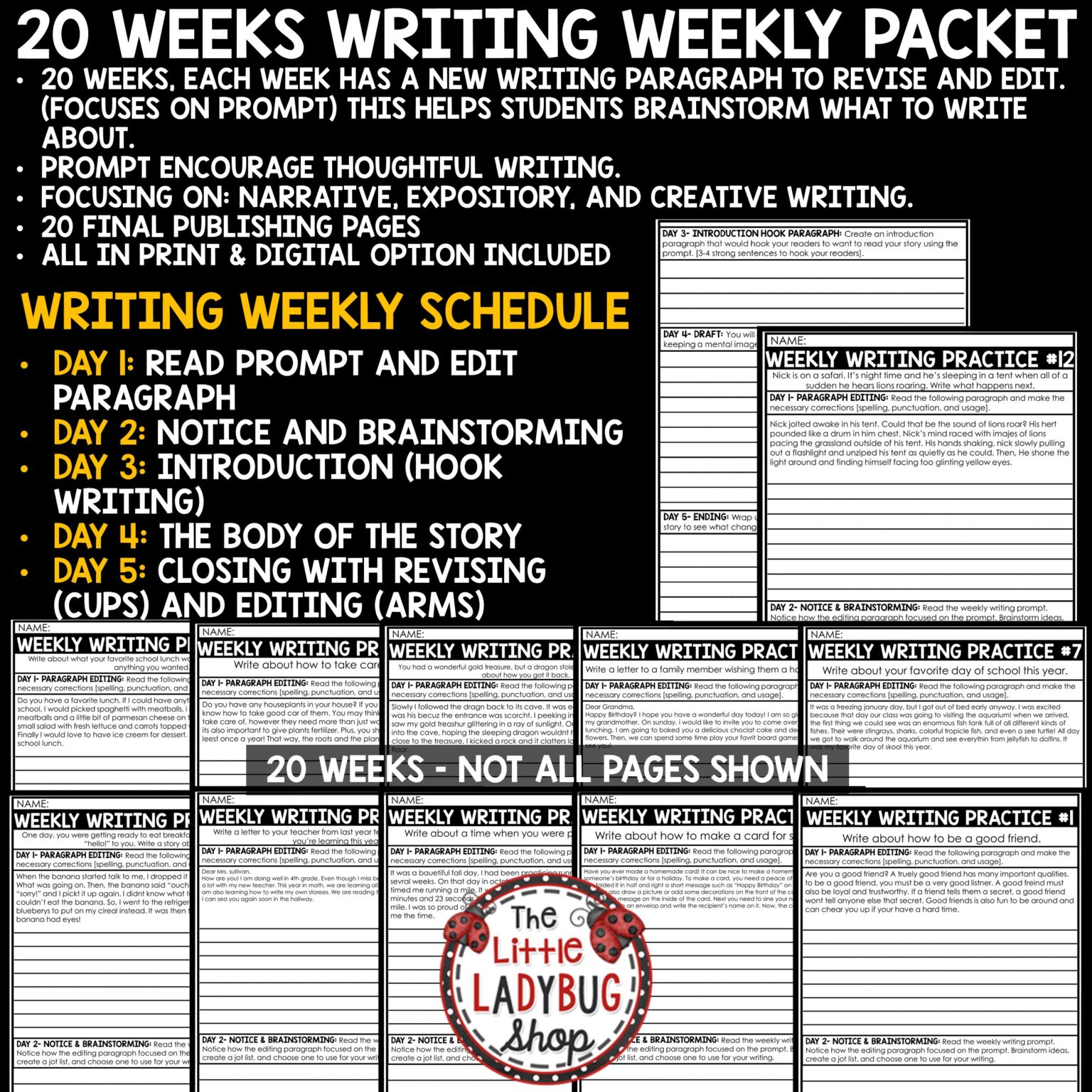 ELA Test Prep Writing Prompts - The Little Ladybug Shop