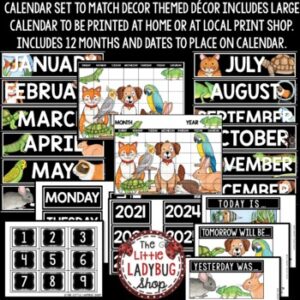Pet Shop Animal Theme Classroom Decor: Calendar Bulletin Board - The ...