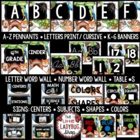 Pet Shop Animal Theme Classroom Decor | Newsletter Template Editable ...