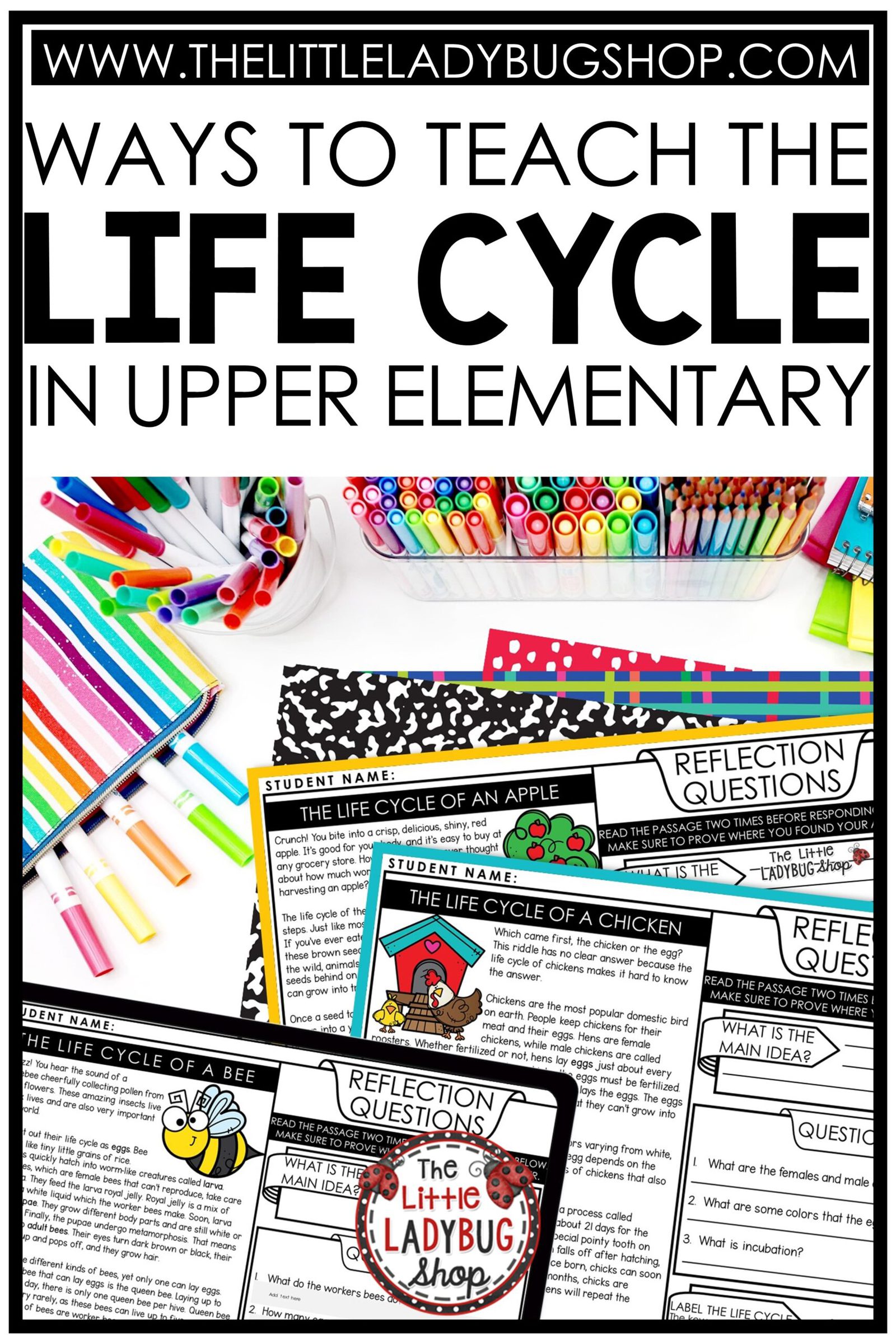 Life Cycle Activities for Upper Elementary Students - The Little ...