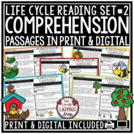 Bee Apple Life Cycle Reading Comprehension Passages Skills and ...