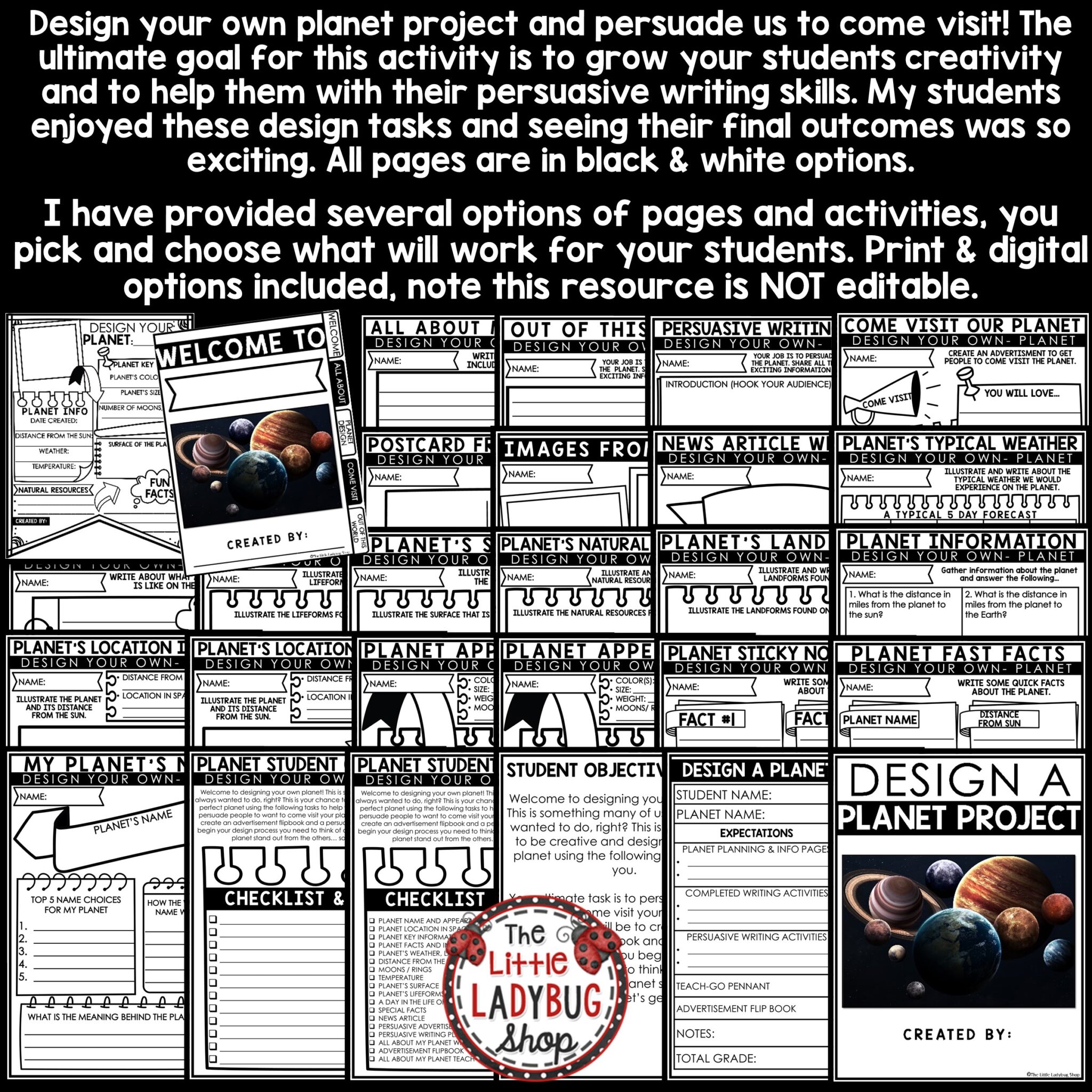 Design a Writing Project Based Learning - The Little Ladybug Shop