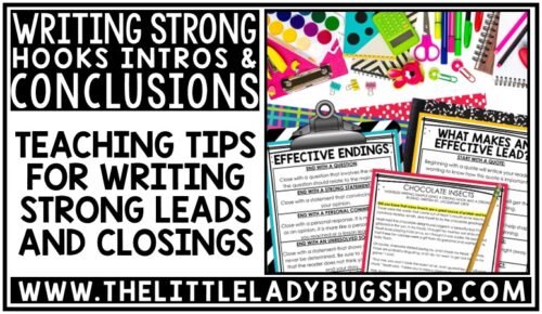 Writing Strong Hooks Intros and Conclusions - The Little Ladybug Shop