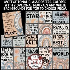 Boho Motivational Posters Classroom Décor - The Little Ladybug Shop