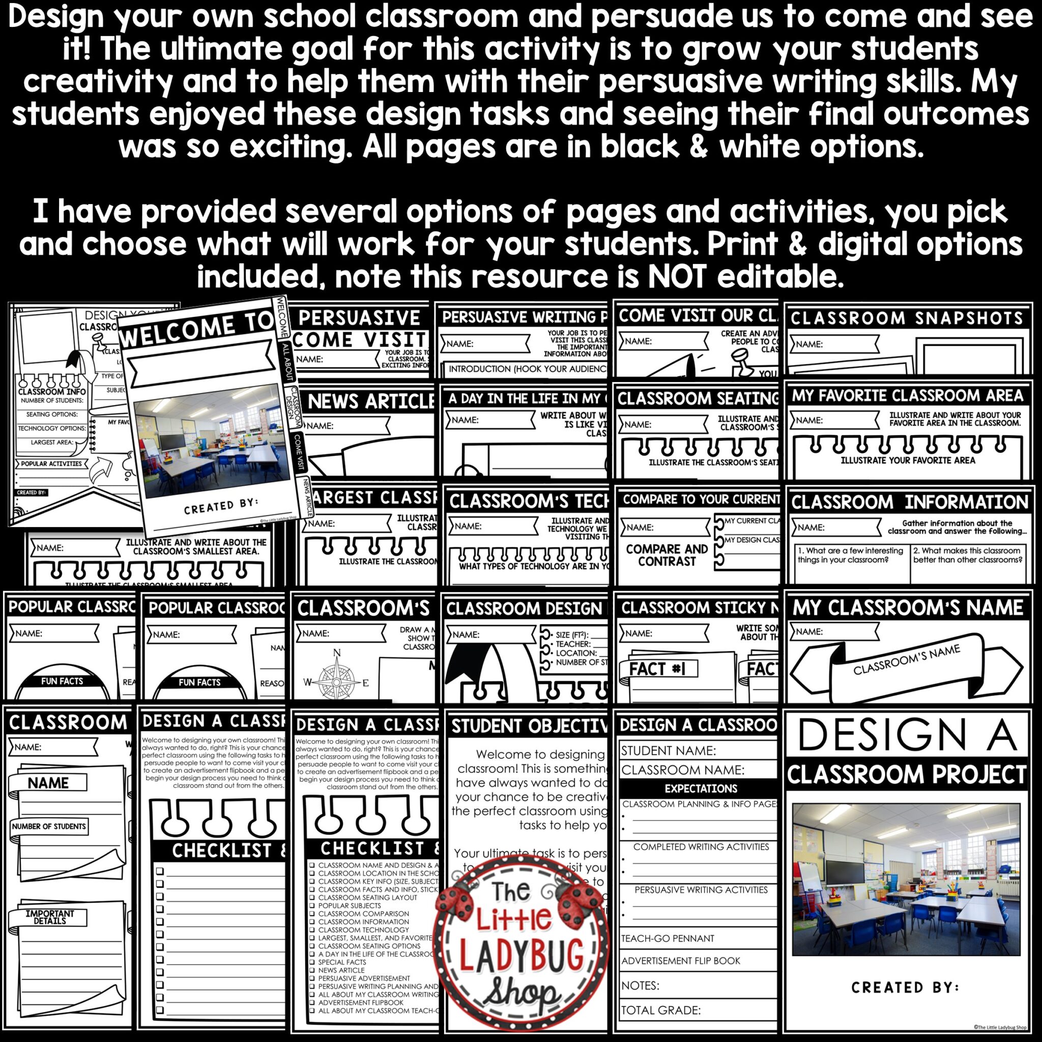 Design a School Project Based Learning - The Little Ladybug Shop