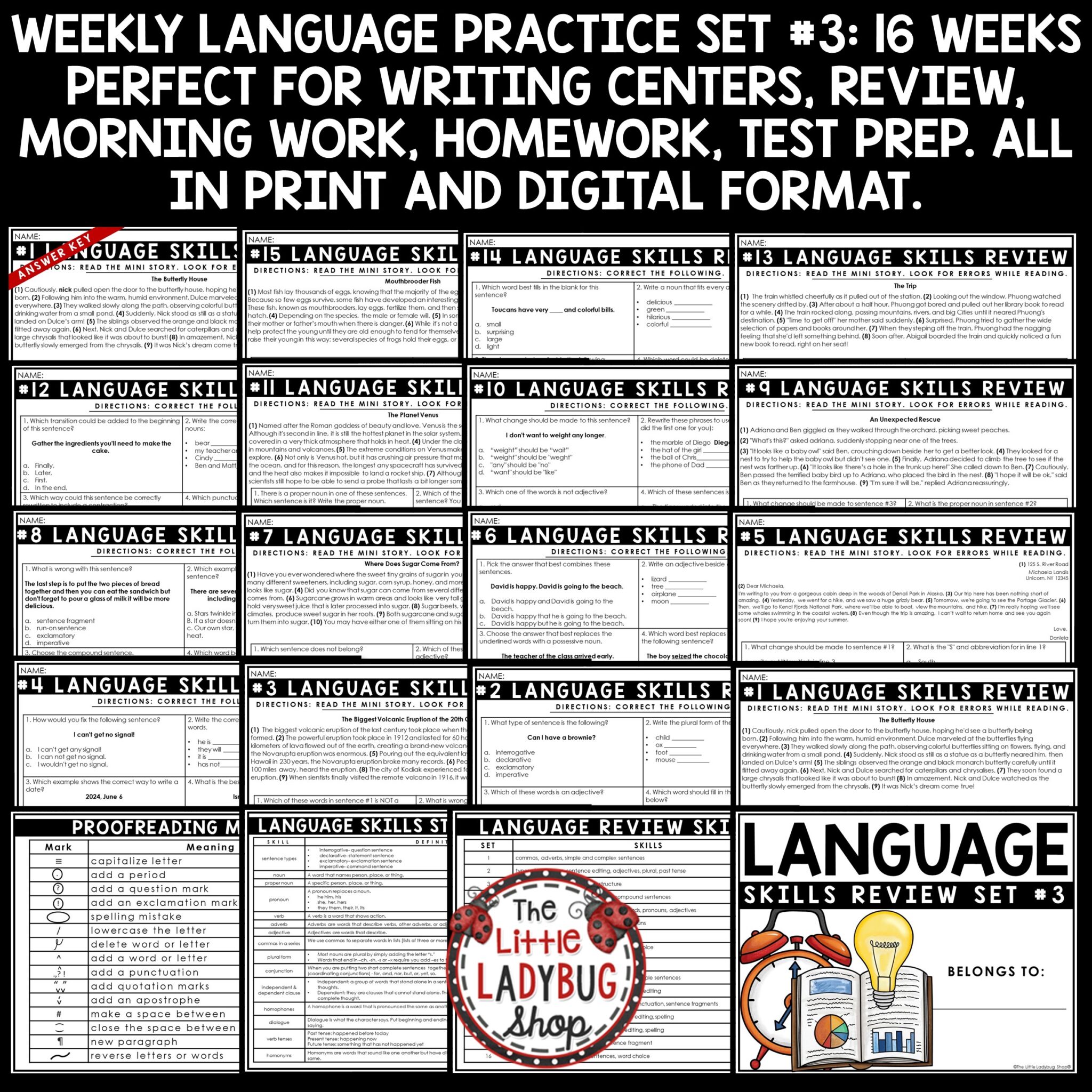 Language Grammar Review Practice - The Little Ladybug Shop