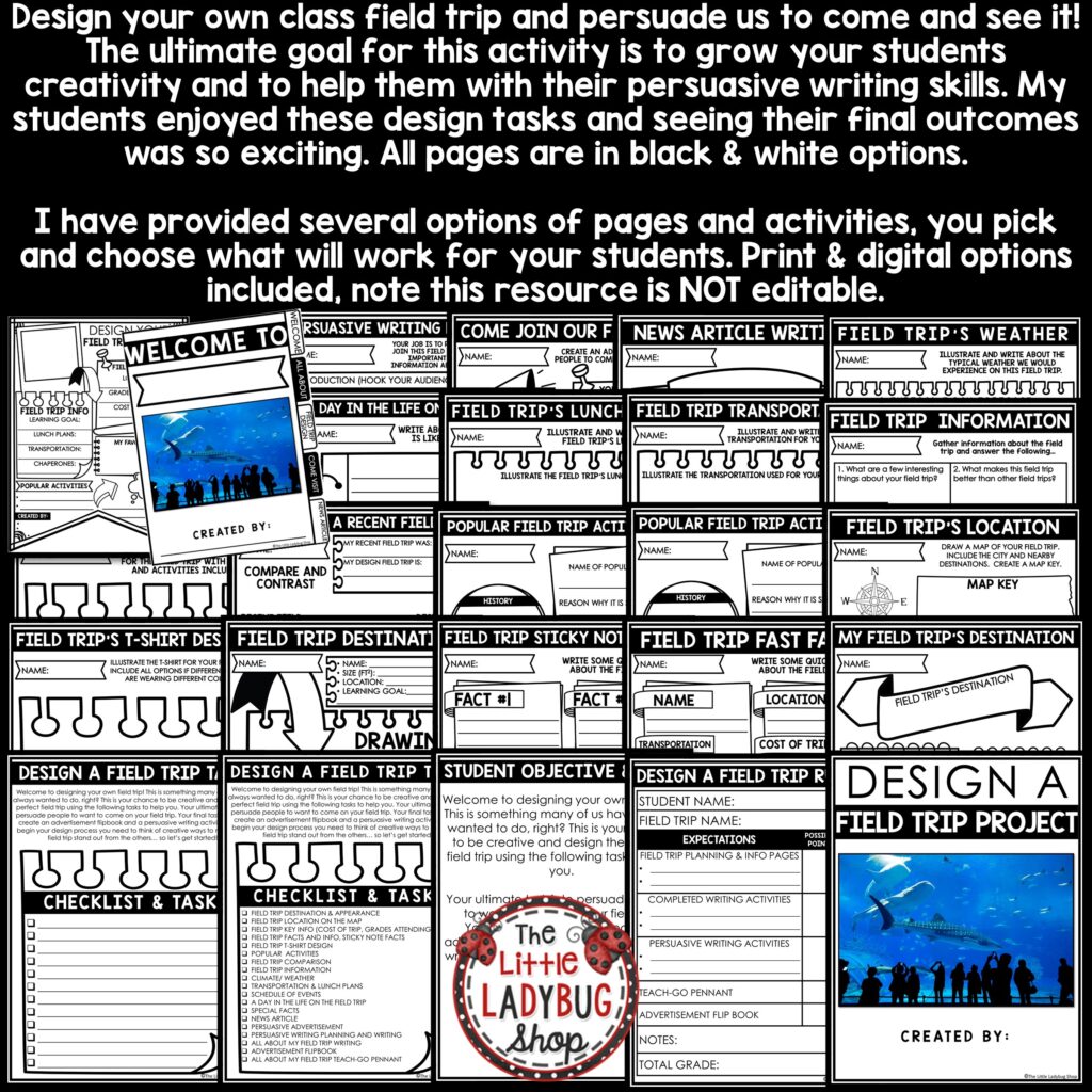 Design a School Project Based Learning - The Little Ladybug Shop