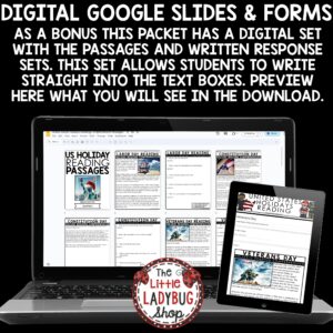 US Holiday Nonfiction Reading Passages - The Little Ladybug Shop