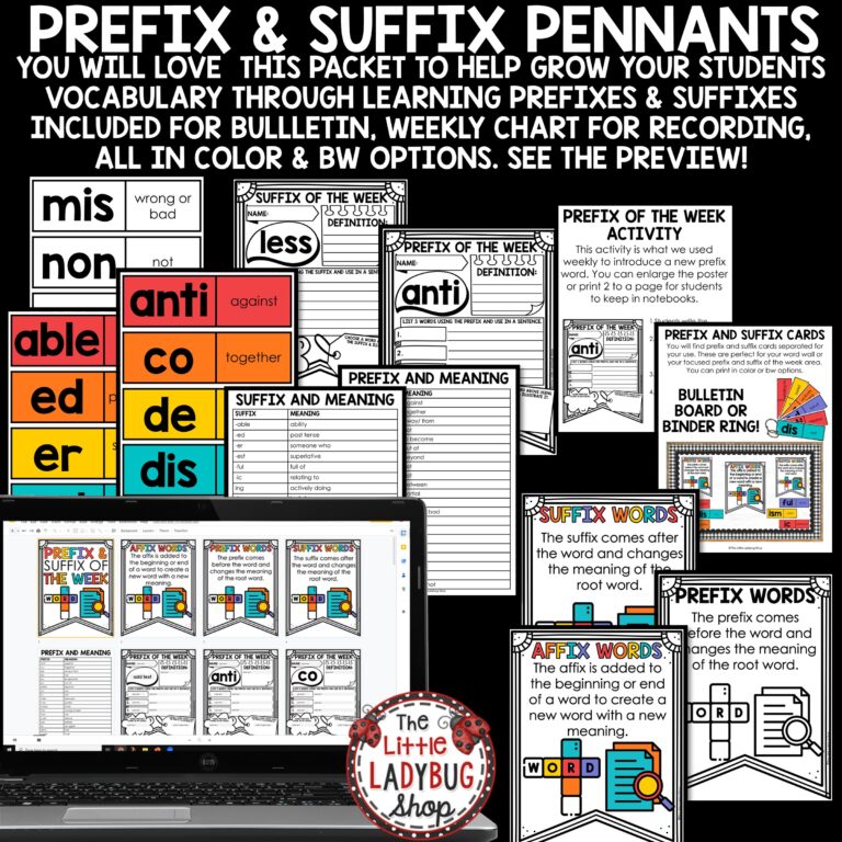 Affixes Prefixes Suffixes Worksheets - The Little Ladybug Shop