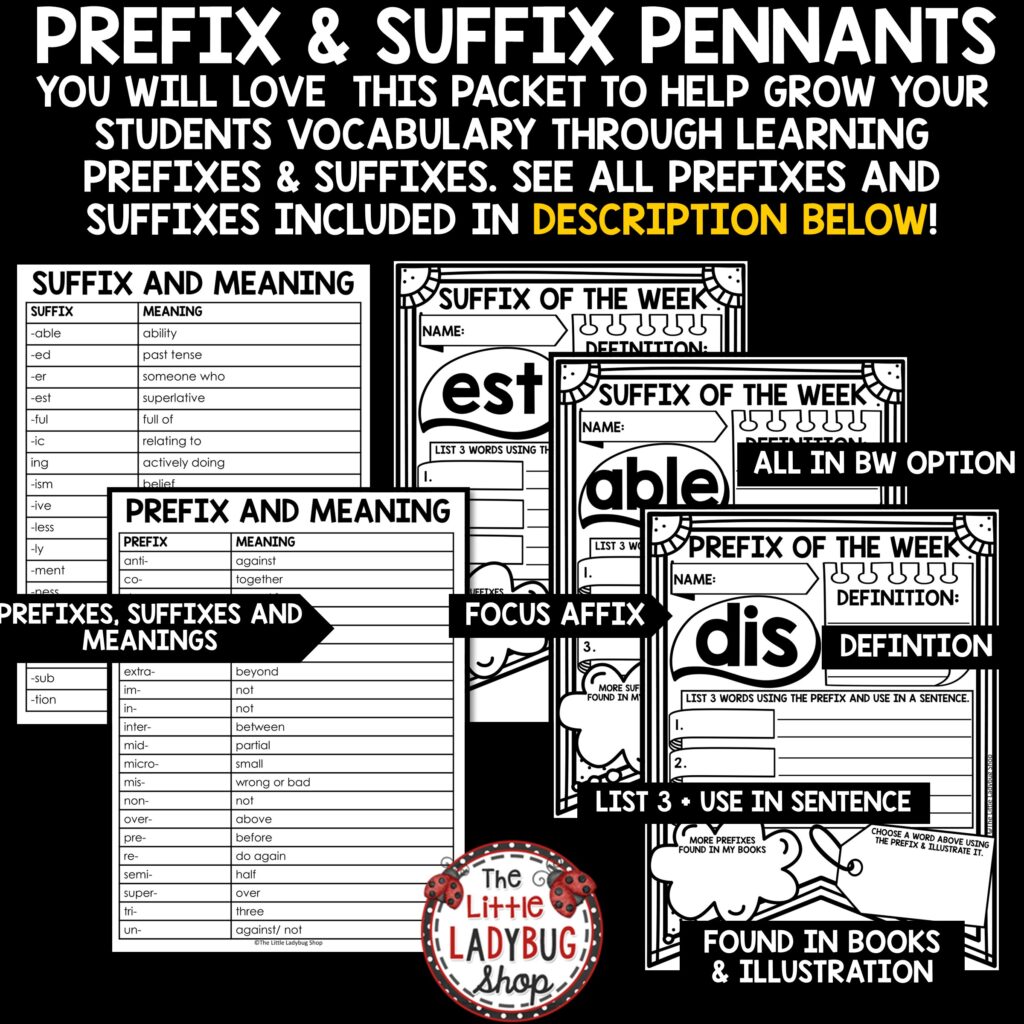 Affixes Prefixes Suffixes Worksheets - The Little Ladybug Shop