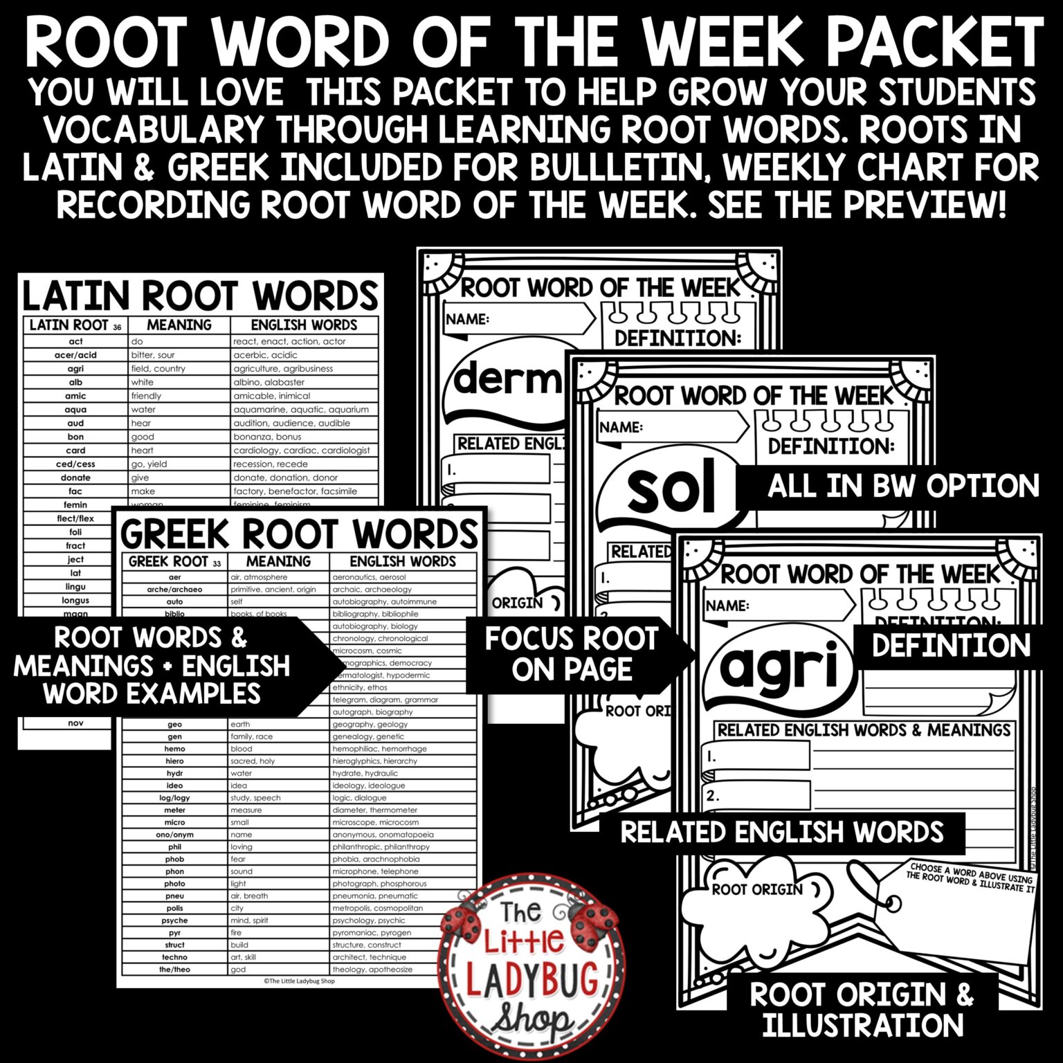 Greek and Latin Root Word Study - The Little Ladybug Shop