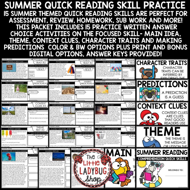 Summer Reading Skills Comprehension - The Little Ladybug Shop