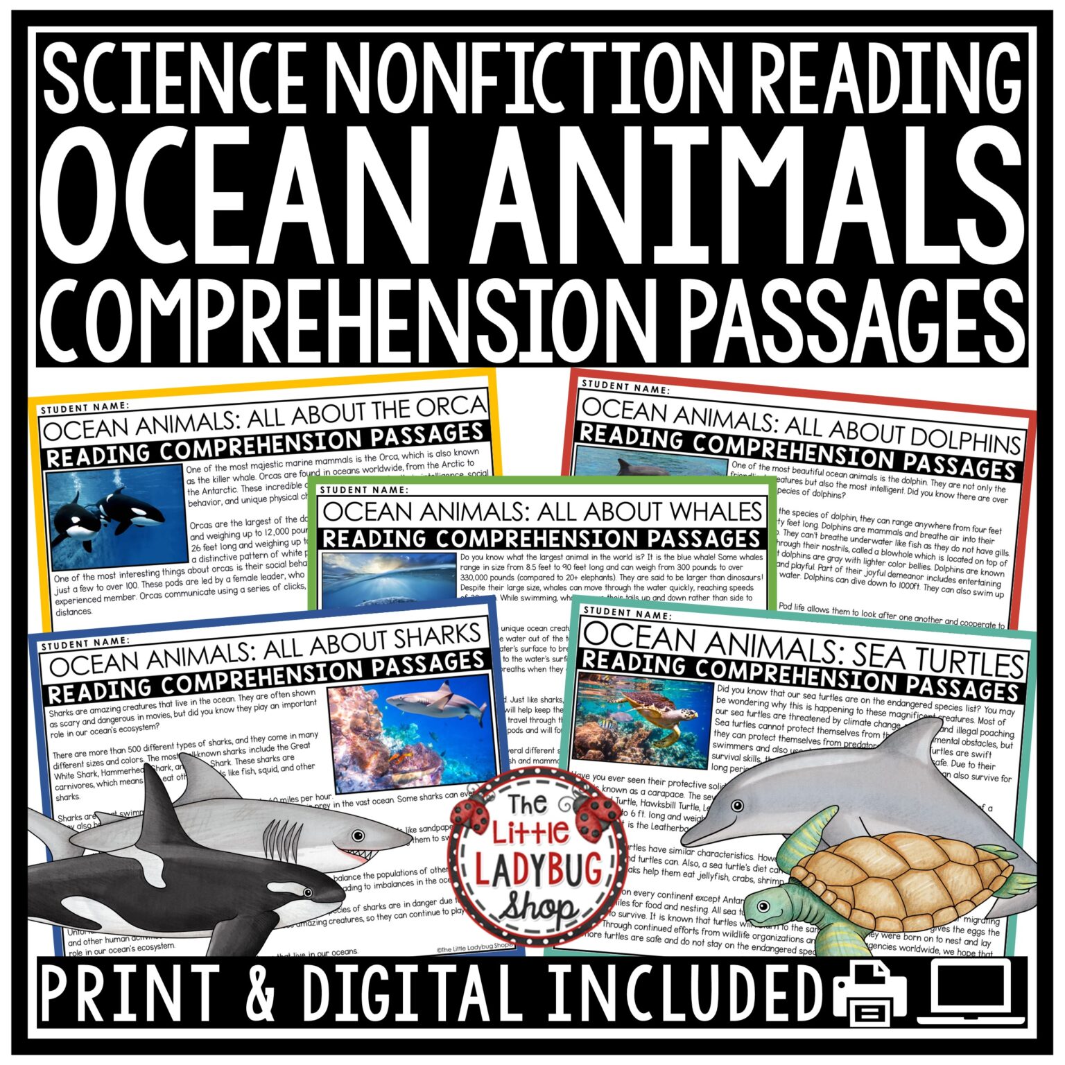 Ocean Animals Science Reading Passages - The Little Ladybug Shop