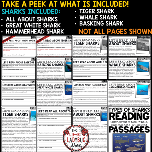 Sharks Summer Reading Passages Ocean Animals Shark Week Activities ...