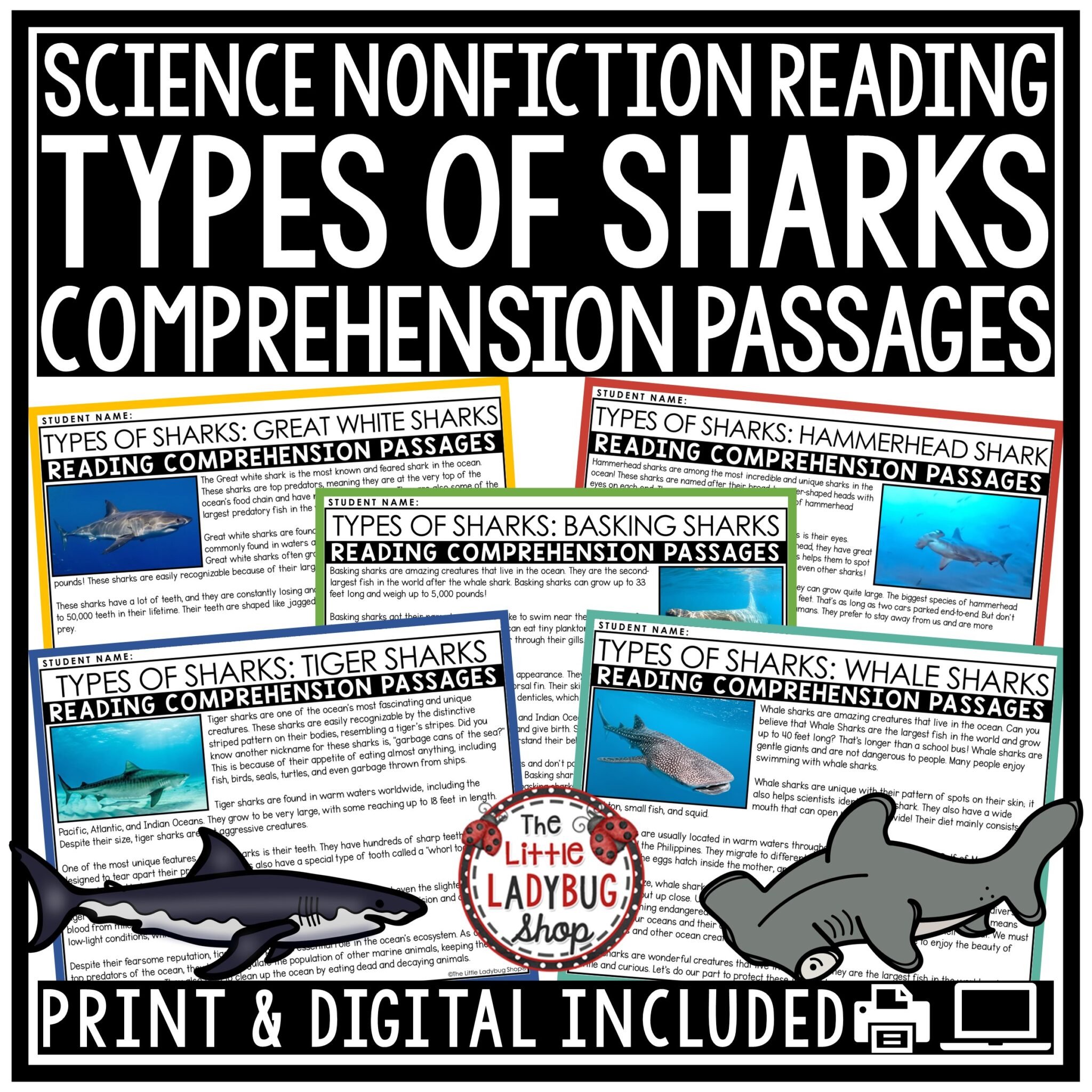 Ocean Animals Sharks Reading Passages - The Little Ladybug Shop