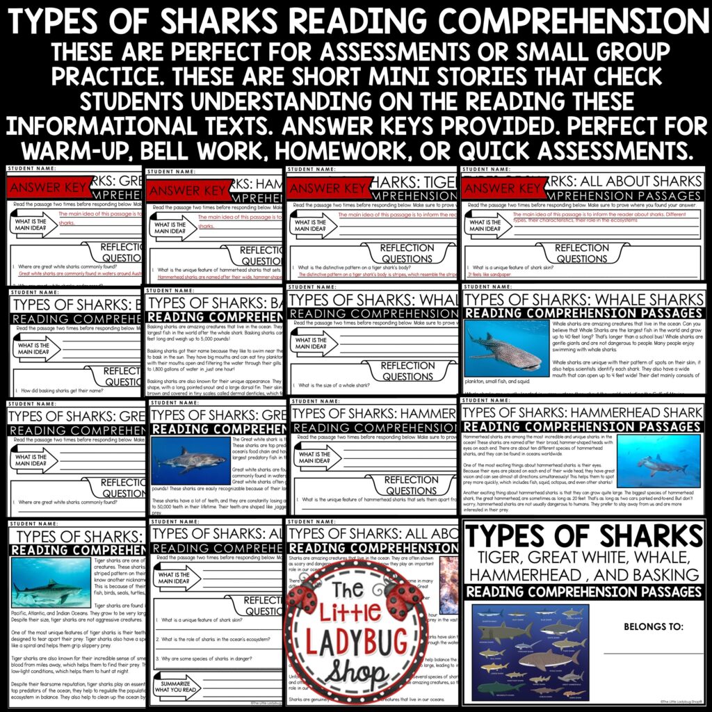 Ocean Animals Sharks Reading Passages - The Little Ladybug Shop