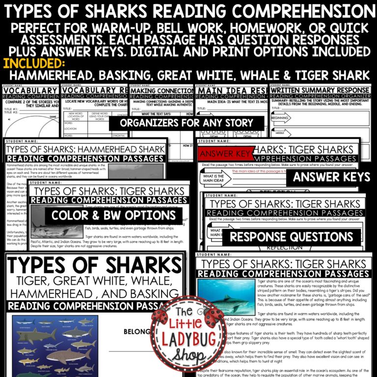 Ocean Animals Sharks Reading Passages - The Little Ladybug Shop