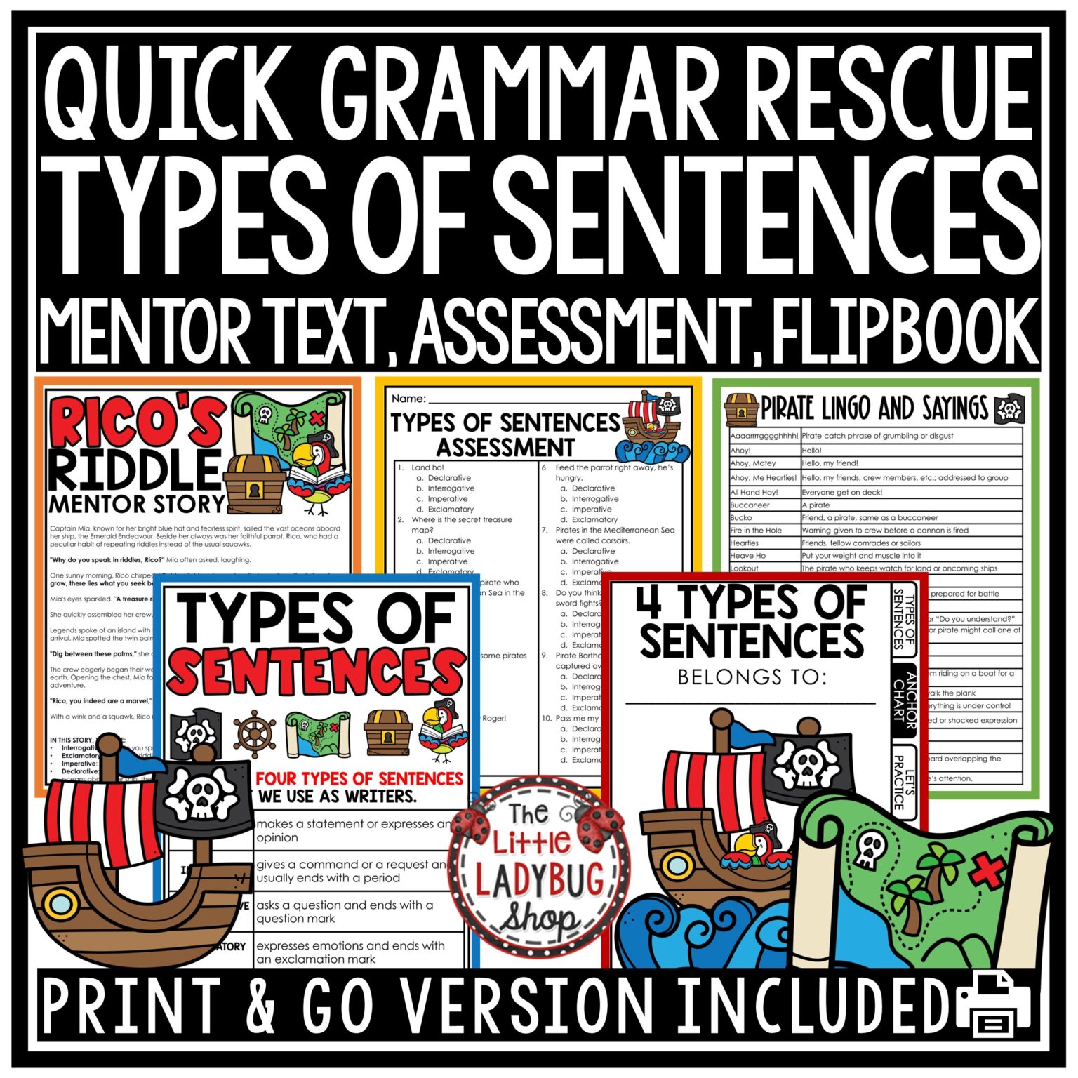 Grammar Types of Sentences Worksheets - The Little Ladybug Shop