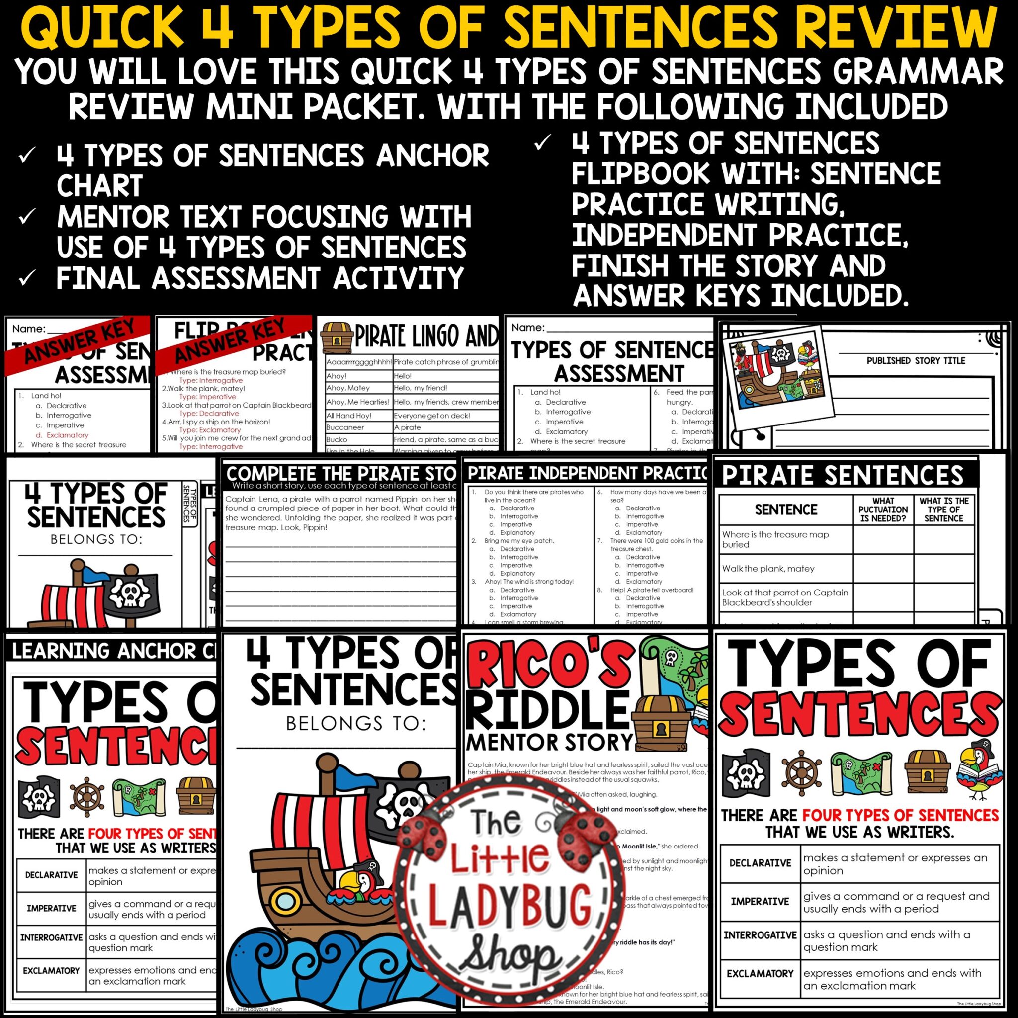 Grammar Types of Sentences Worksheets - The Little Ladybug Shop