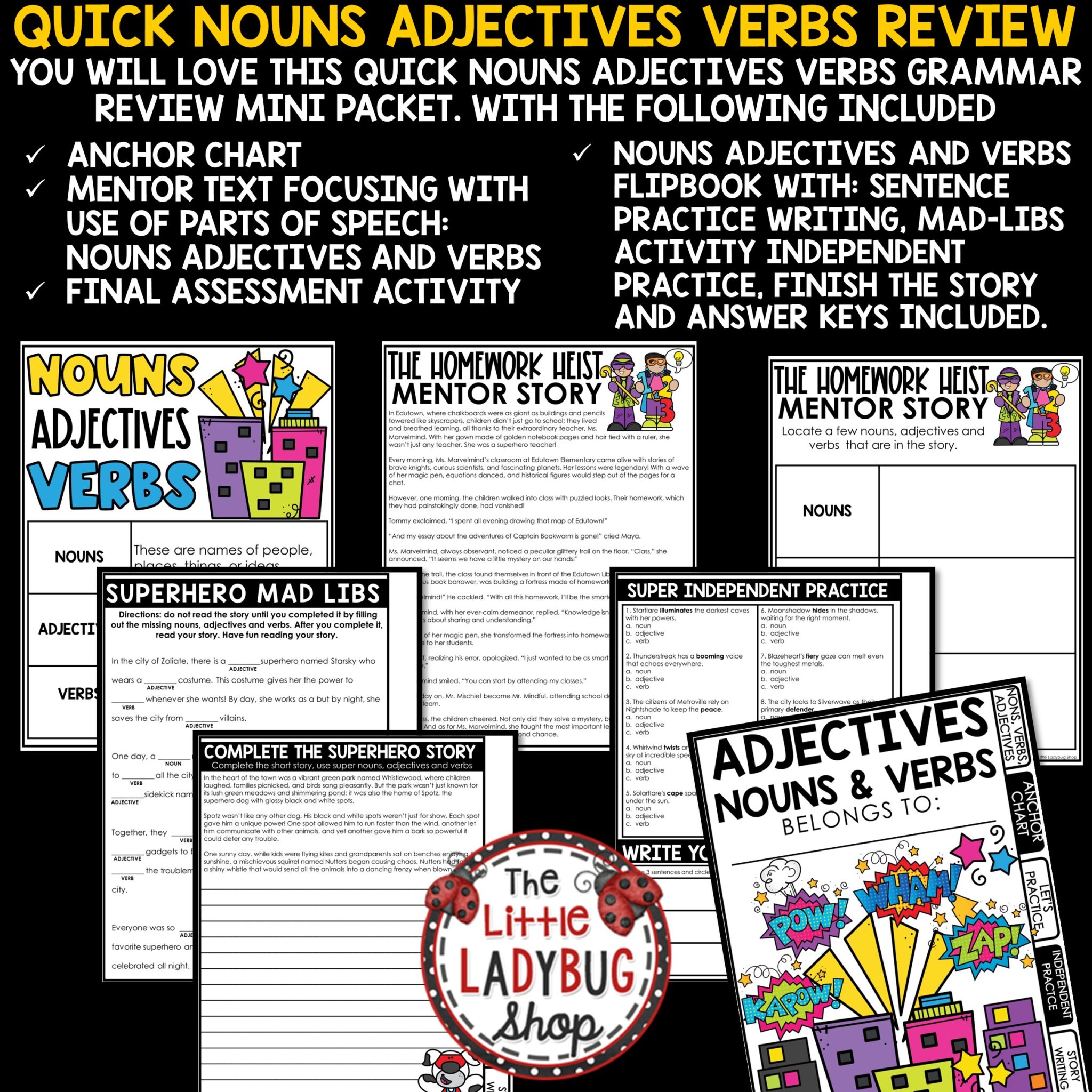 Grammar Parts of Speech Review Worksheets - The Little Ladybug Shop
