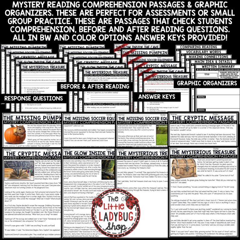 Mystery Reading Comprehension Passages - The Little Ladybug Shop