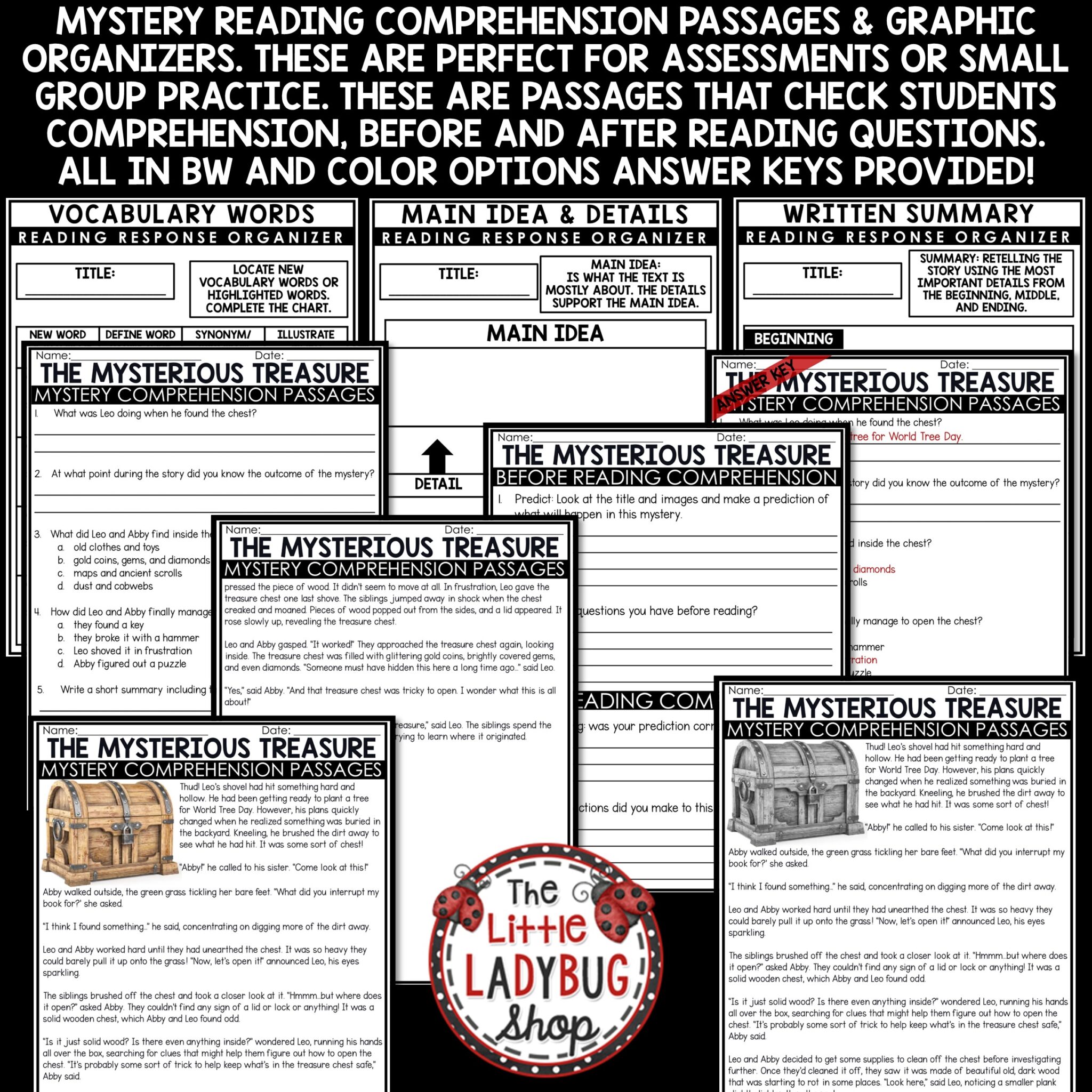 Mystery Reading Comprehension Passages - The Little Ladybug Shop