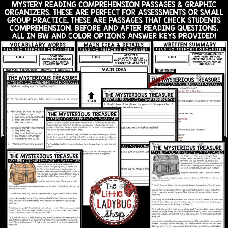 Mystery Reading Comprehension Passages - The Little Ladybug Shop