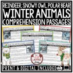Winter Animals Reading Comprehension Passages - The Little Ladybug Shop