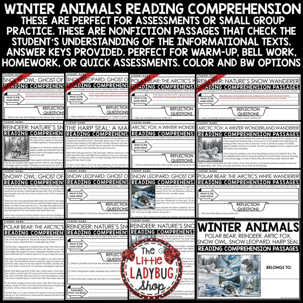 Winter Animals Reading Comprehension Passages - The Little Ladybug Shop