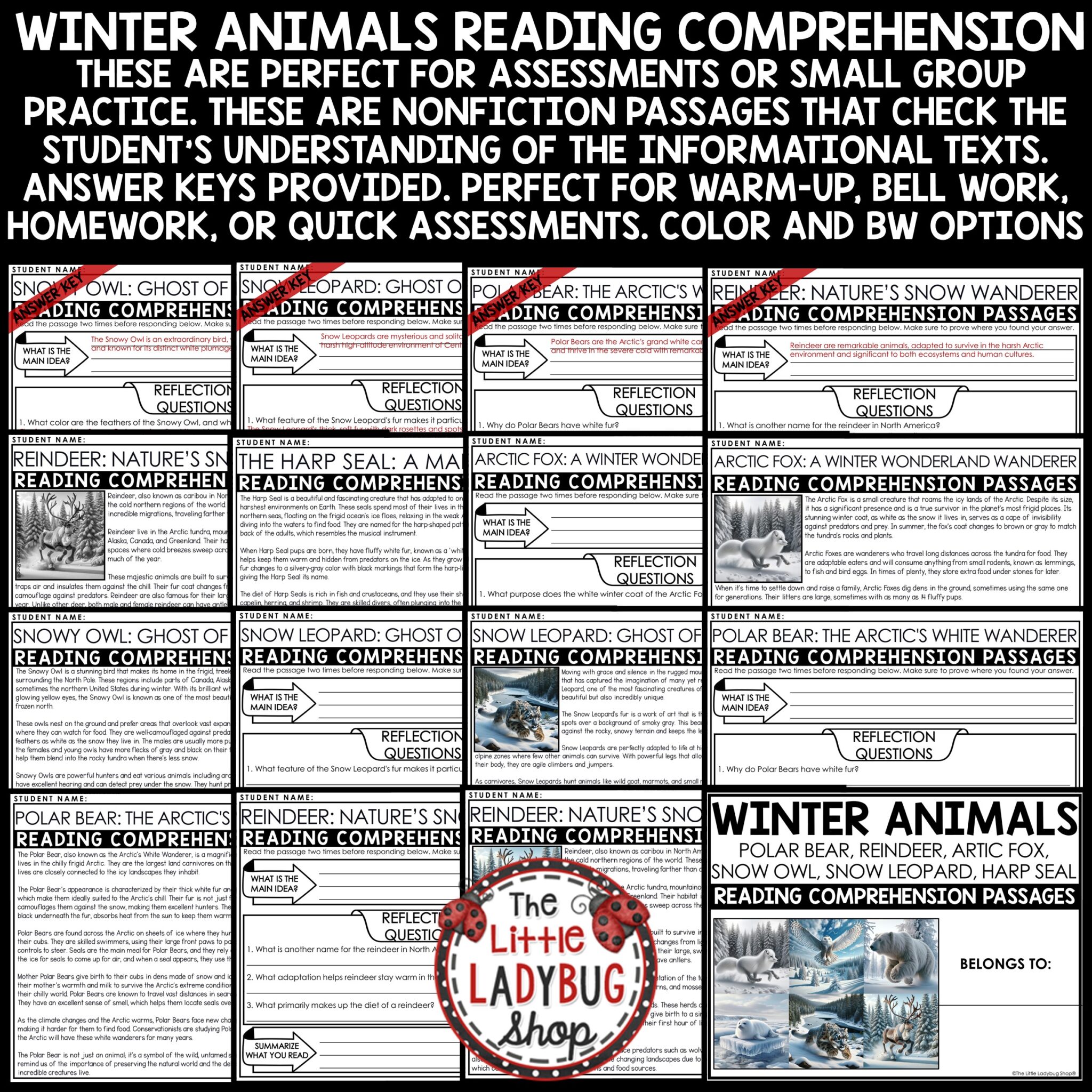 Winter Animals Reading Comprehension Passages - The Little Ladybug Shop