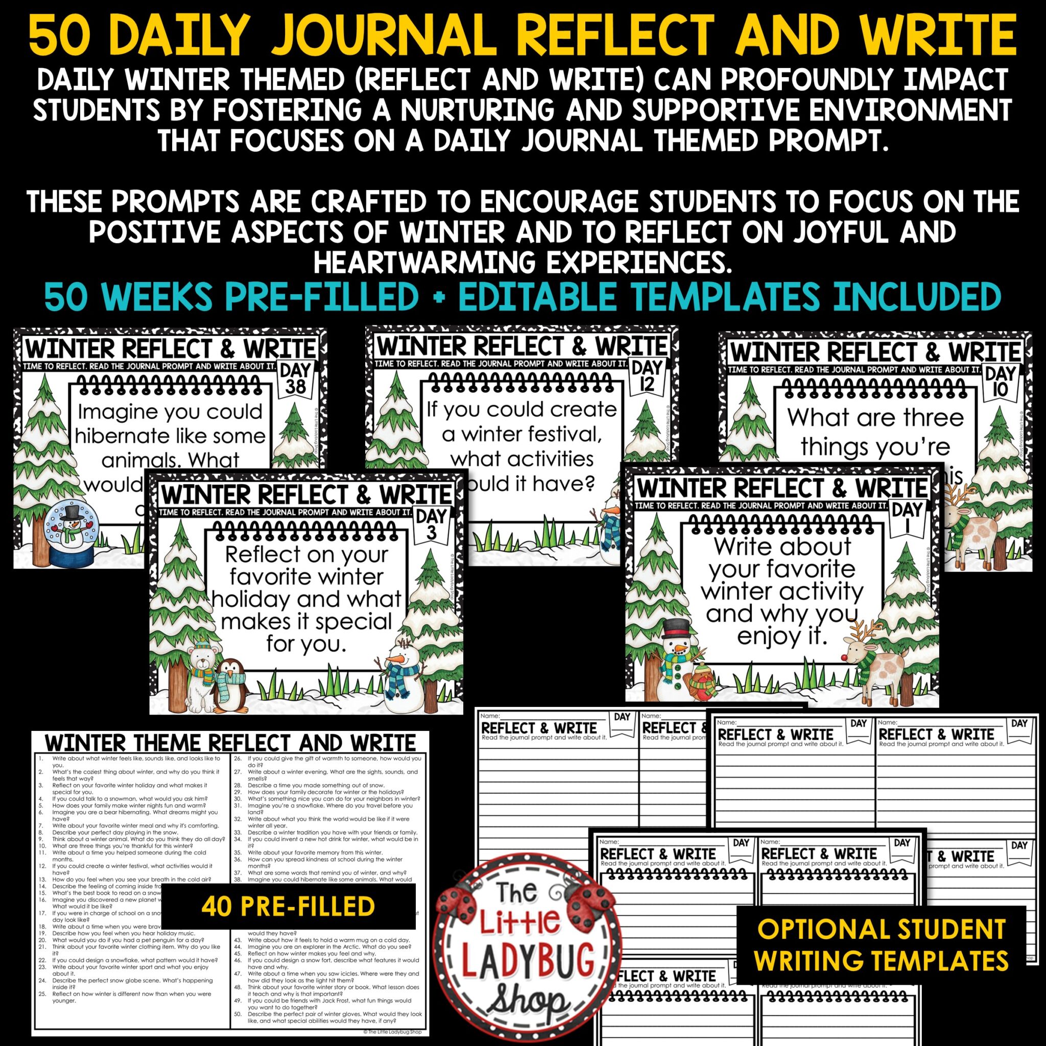 Winter Journal Reflection Writing Prompts - The Little Ladybug Shop