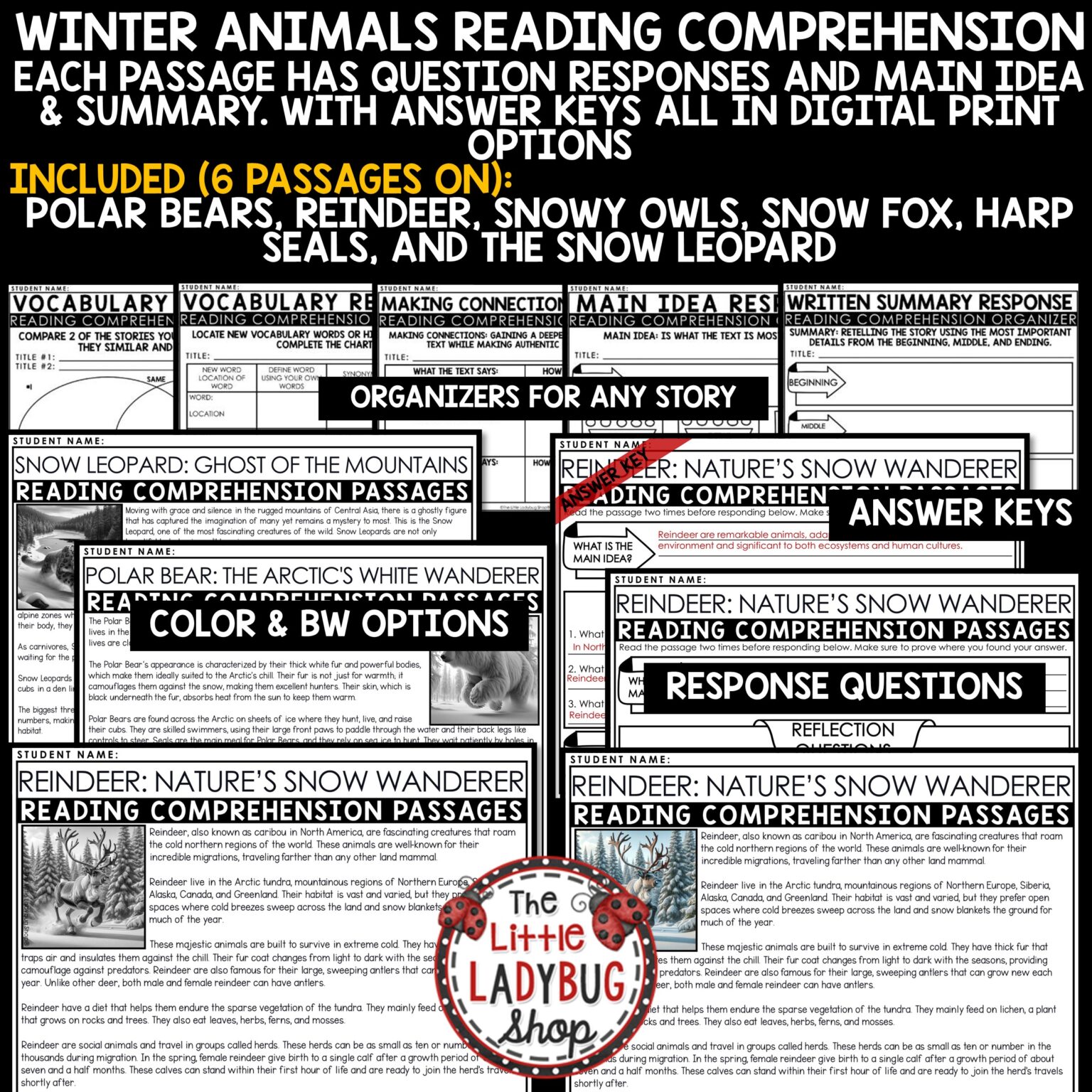 Winter Animals Reading Comprehension Passages - The Little Ladybug Shop
