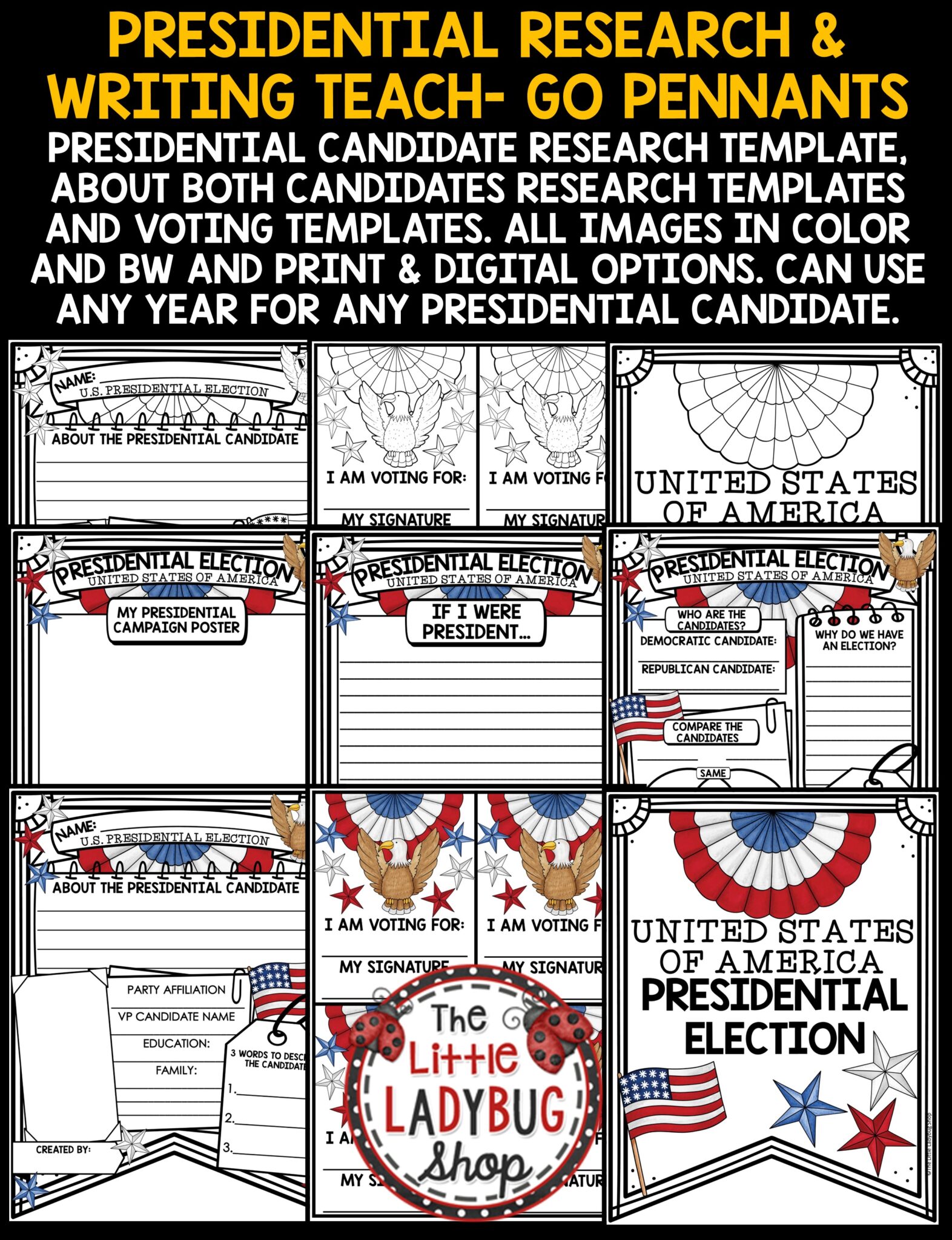 Presidential Election 2024 Activities Research Bulletin Board - The ...