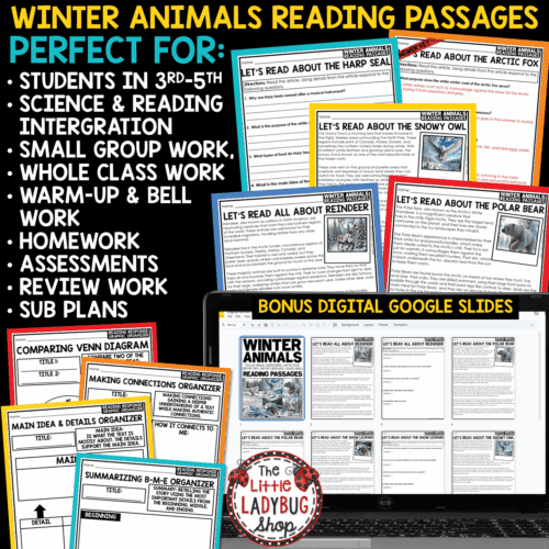 December Reindeer Winter Animals Reading Comprehension Passages - The ...