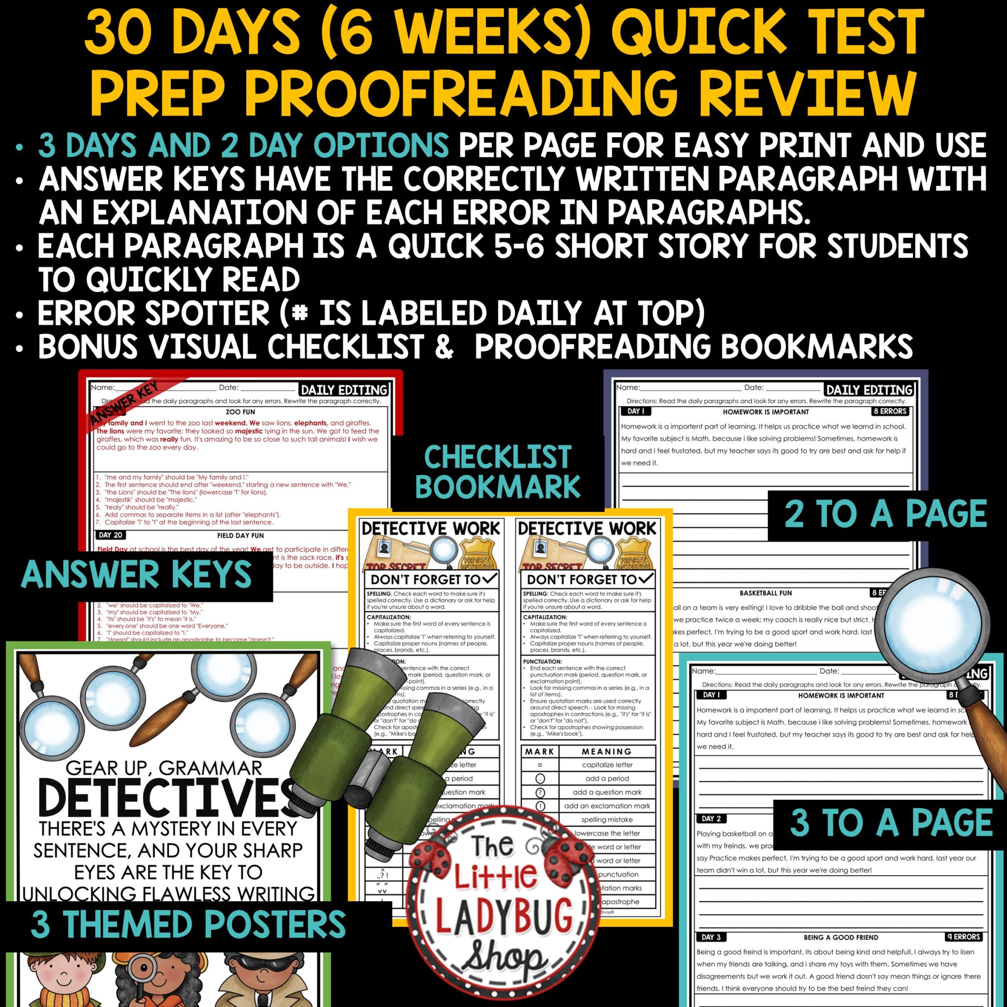 Daily Proofreading Paragraph Editing and Writing Review - The Little ...