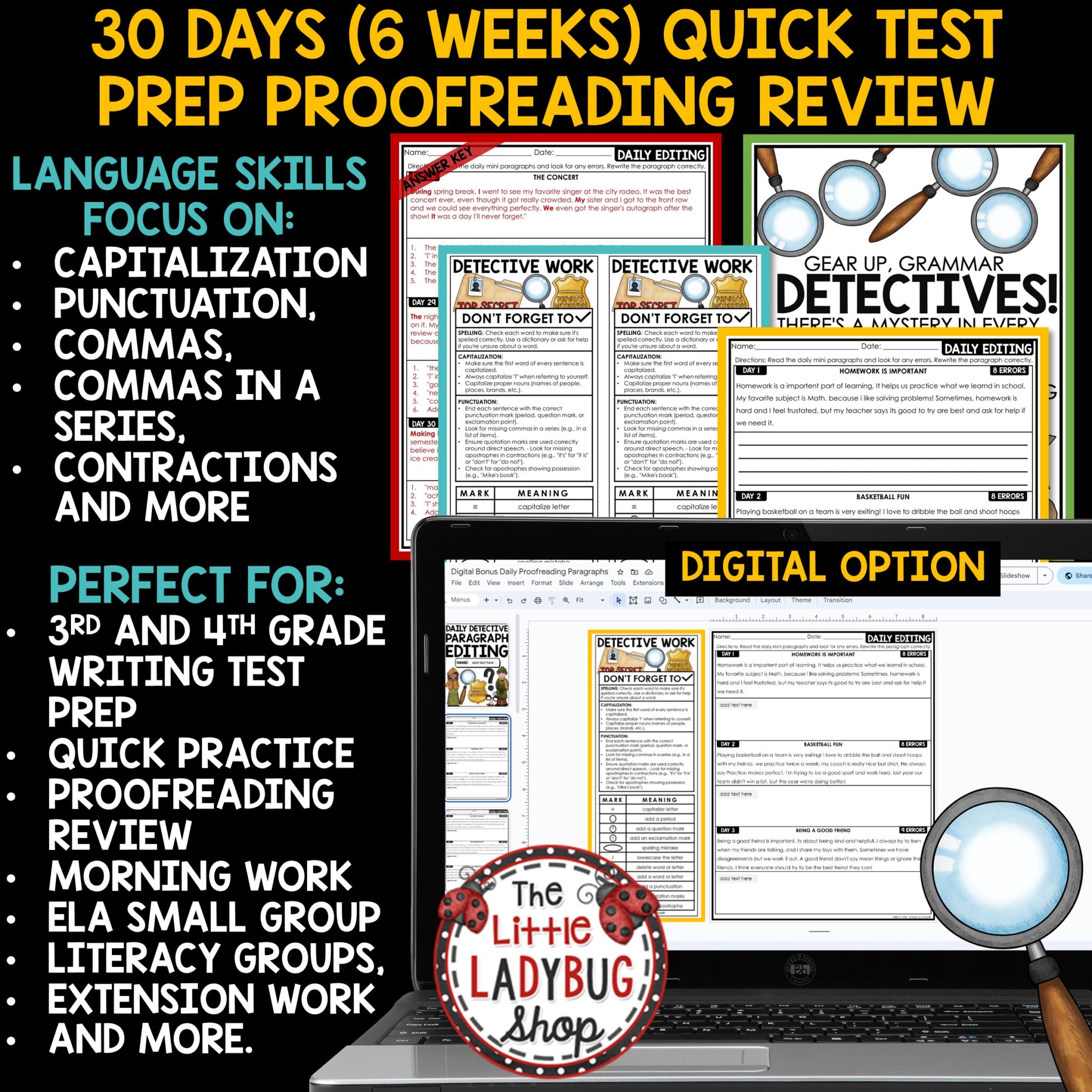 Daily Proofreading Paragraph Editing and Writing Review - The Little ...