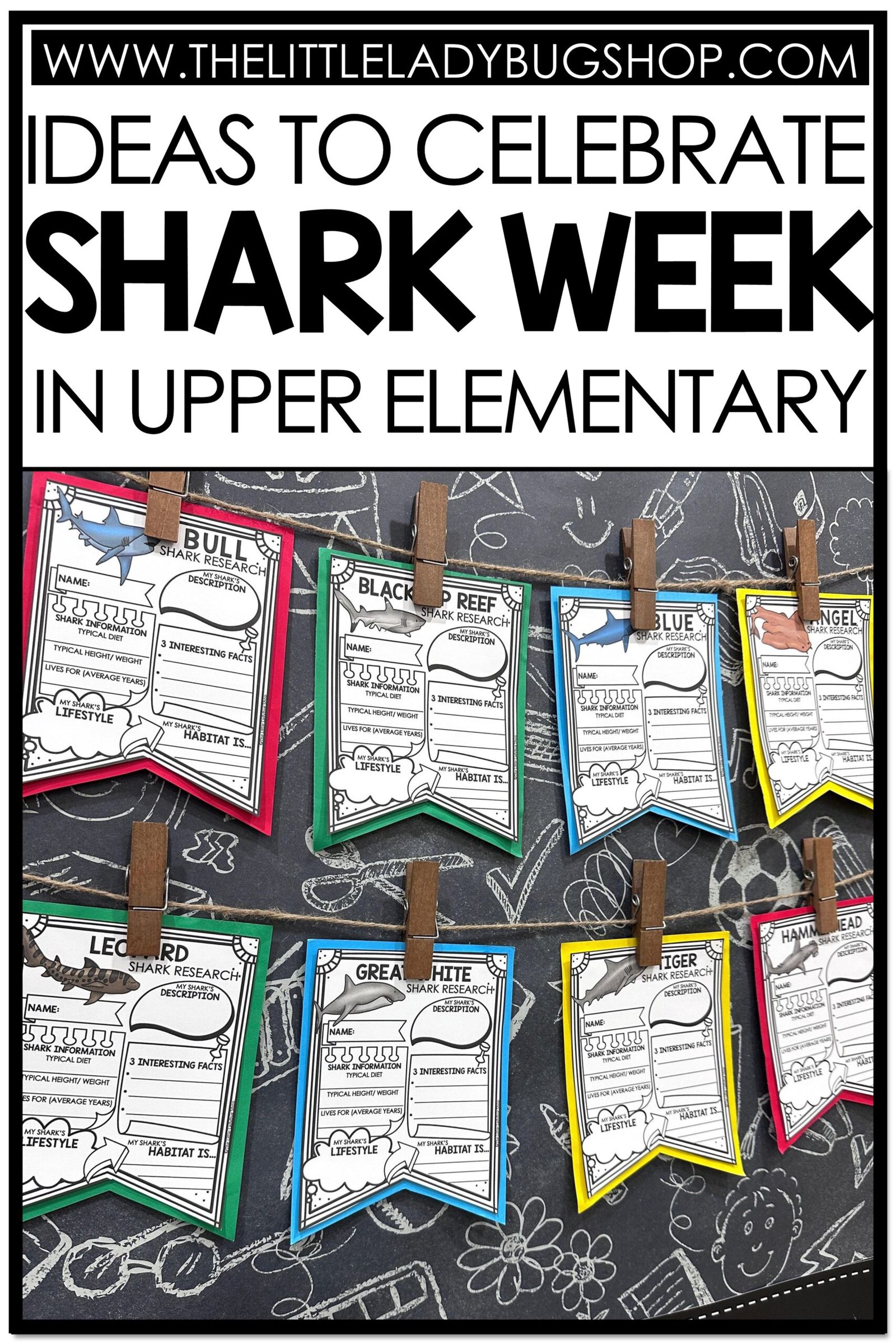 Celebrate Shark Week in the Upper Elementary Classroom - The Little ...