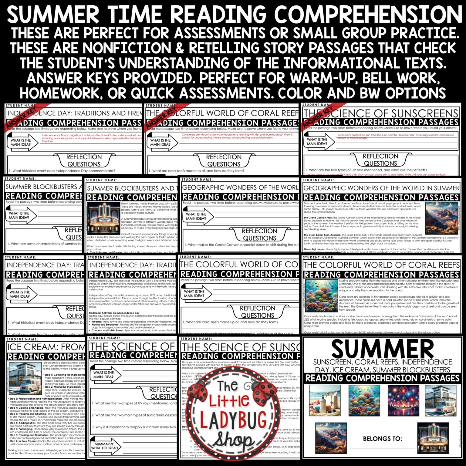 Summer June July Reading Comprehension Passages - The Little Ladybug Shop