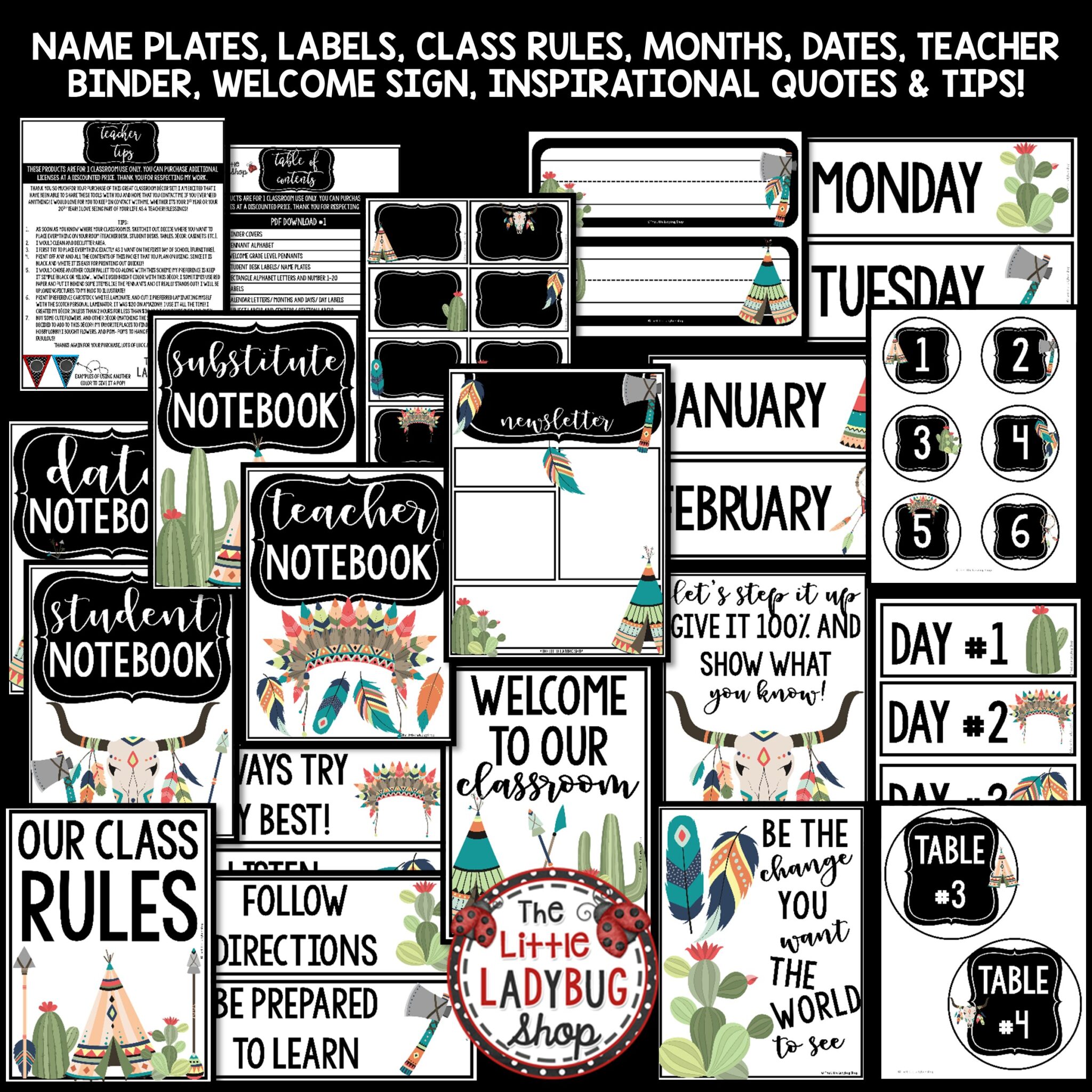 Boho Tribal Cactus Theme Classroom Décor - The Little Ladybug Shop