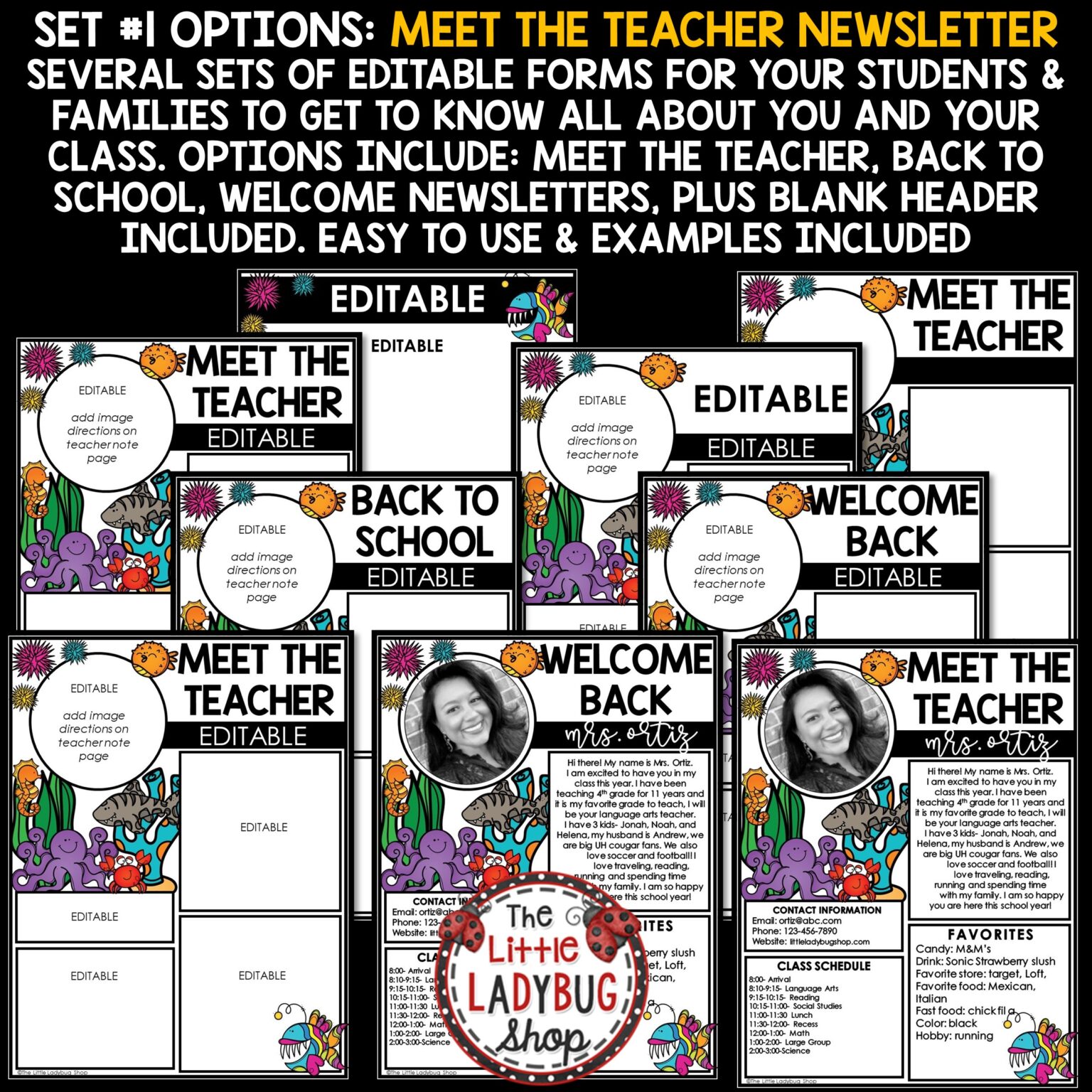 Beach Ocean Animals Meet the Teacher Newsletter Template - The Little ...