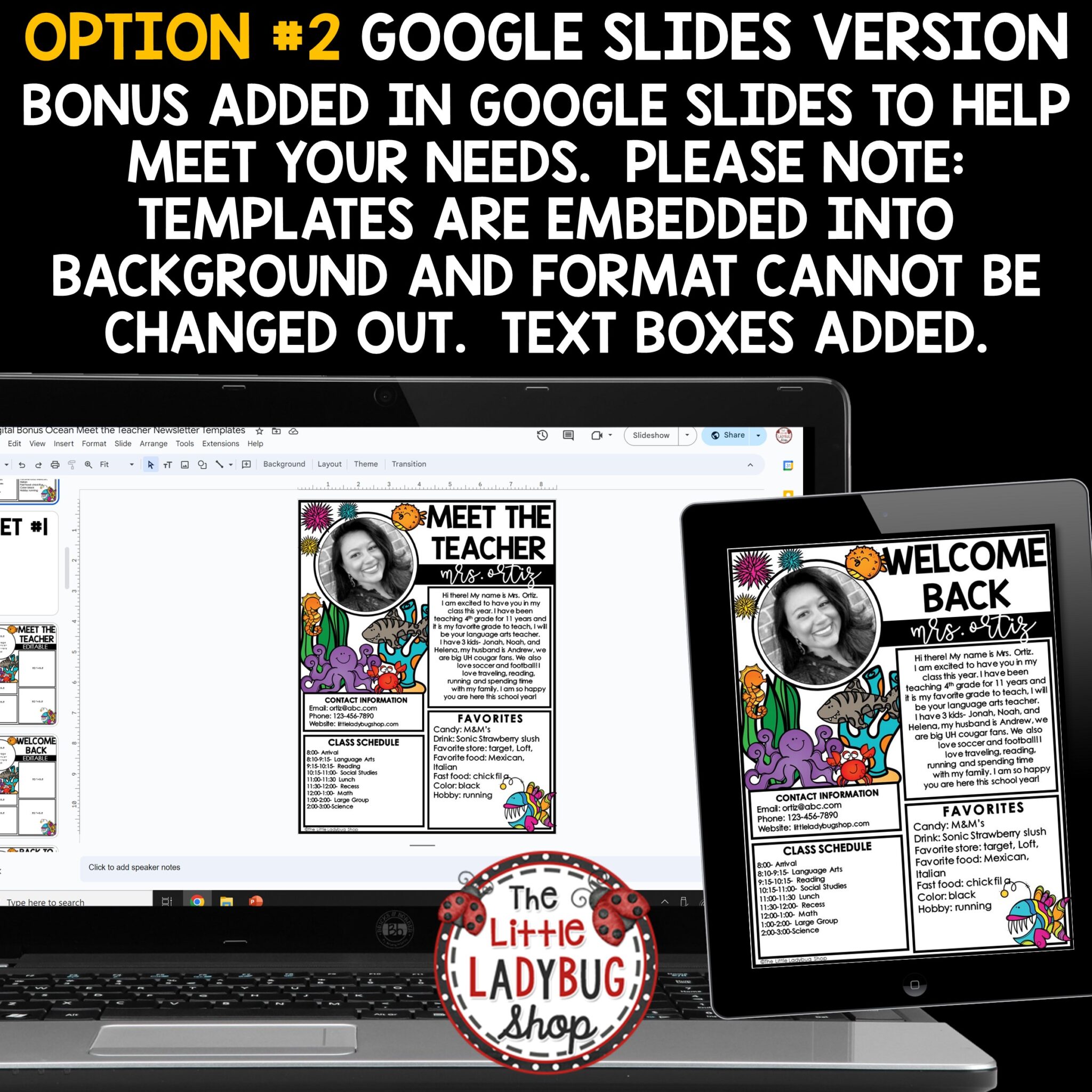 Beach Ocean Animals Meet the Teacher Newsletter Template - The Little ...