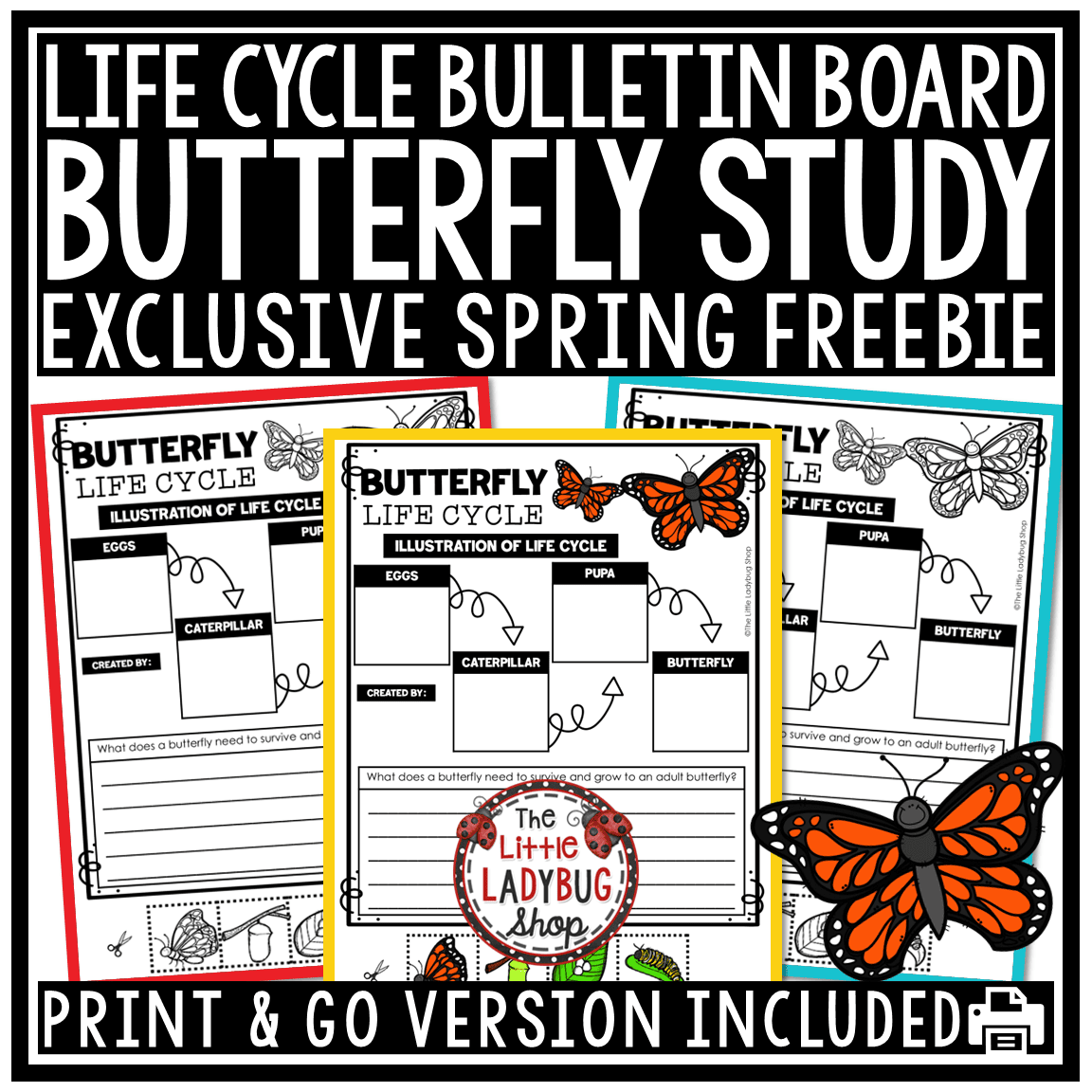 Free Butterfly Life Cycle Labeling Poster 2nd 3rd 4th Grade - The ...