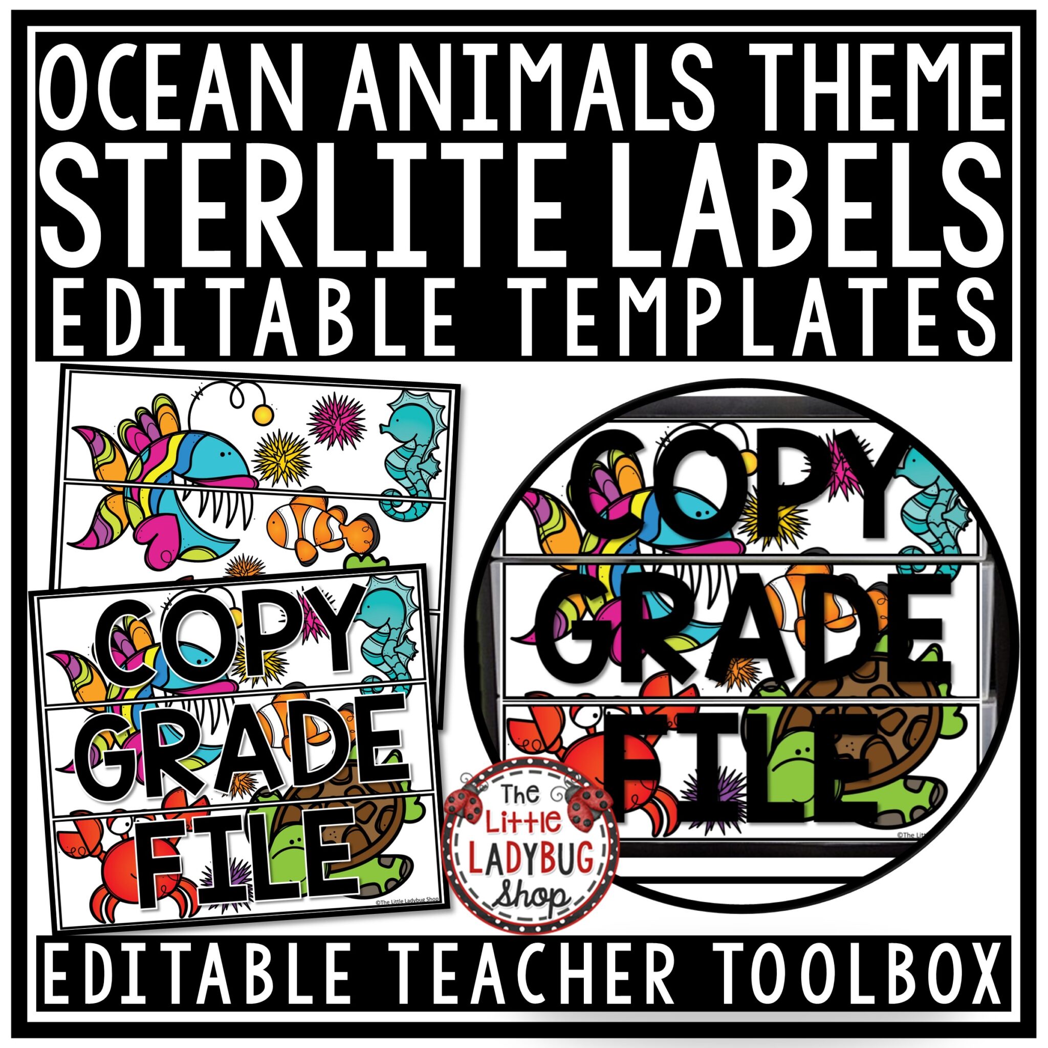 Team Sports Theme Classroom Decor Birthday Display Editable Printable ...