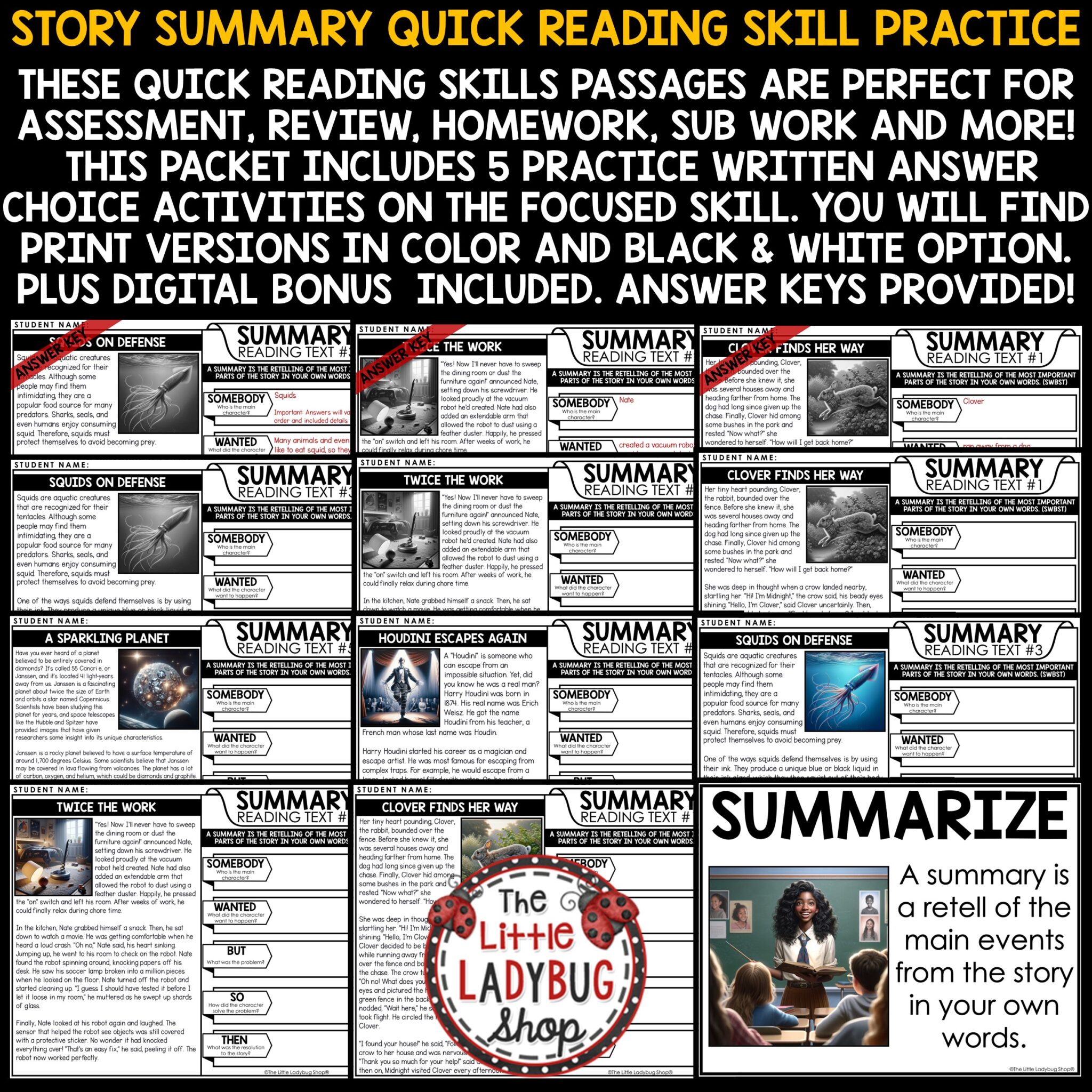 Summarizing Reading Passages Summary Graphic Organizer - The Little ...