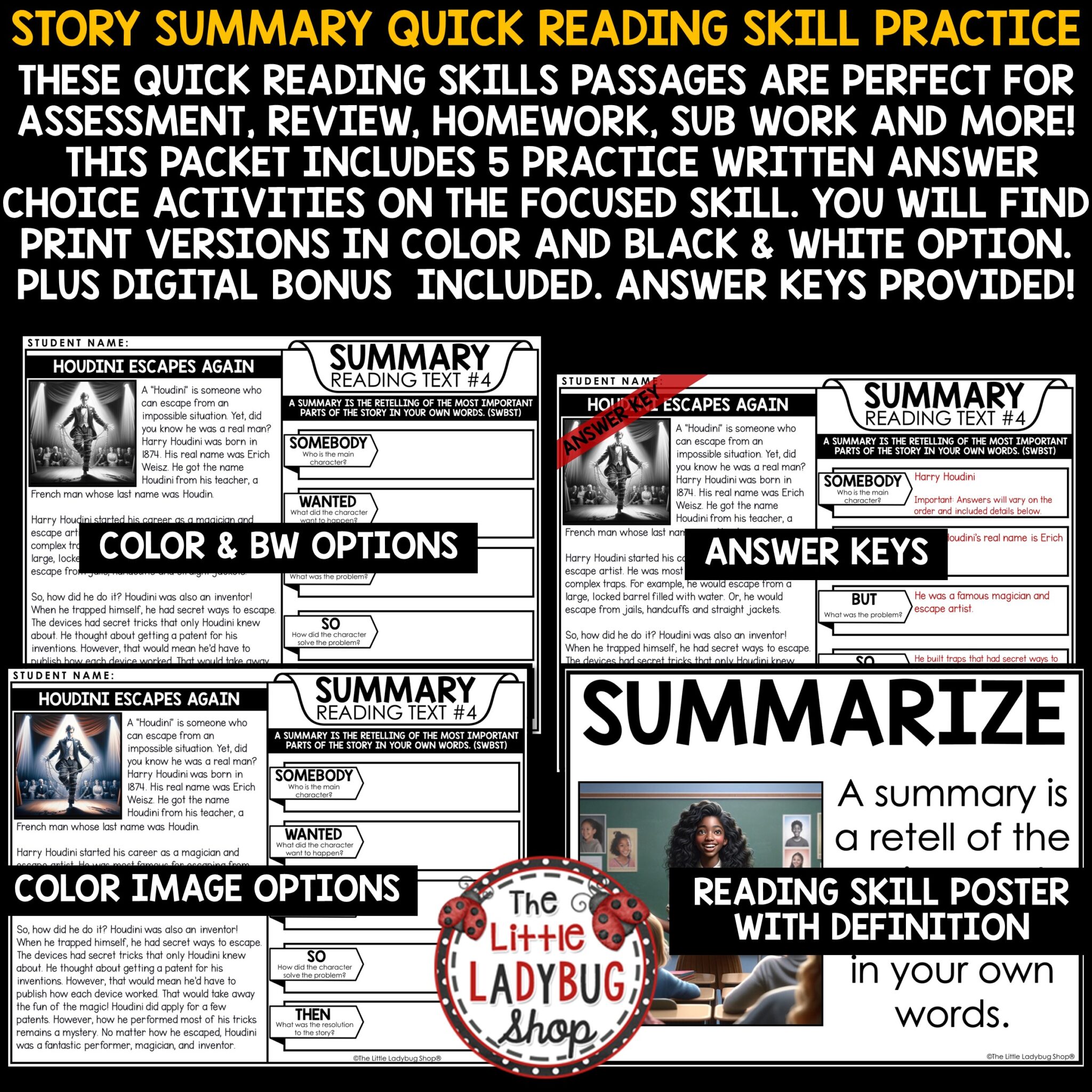 Summarizing Reading Passages Summary Graphic Organizer - The Little ...