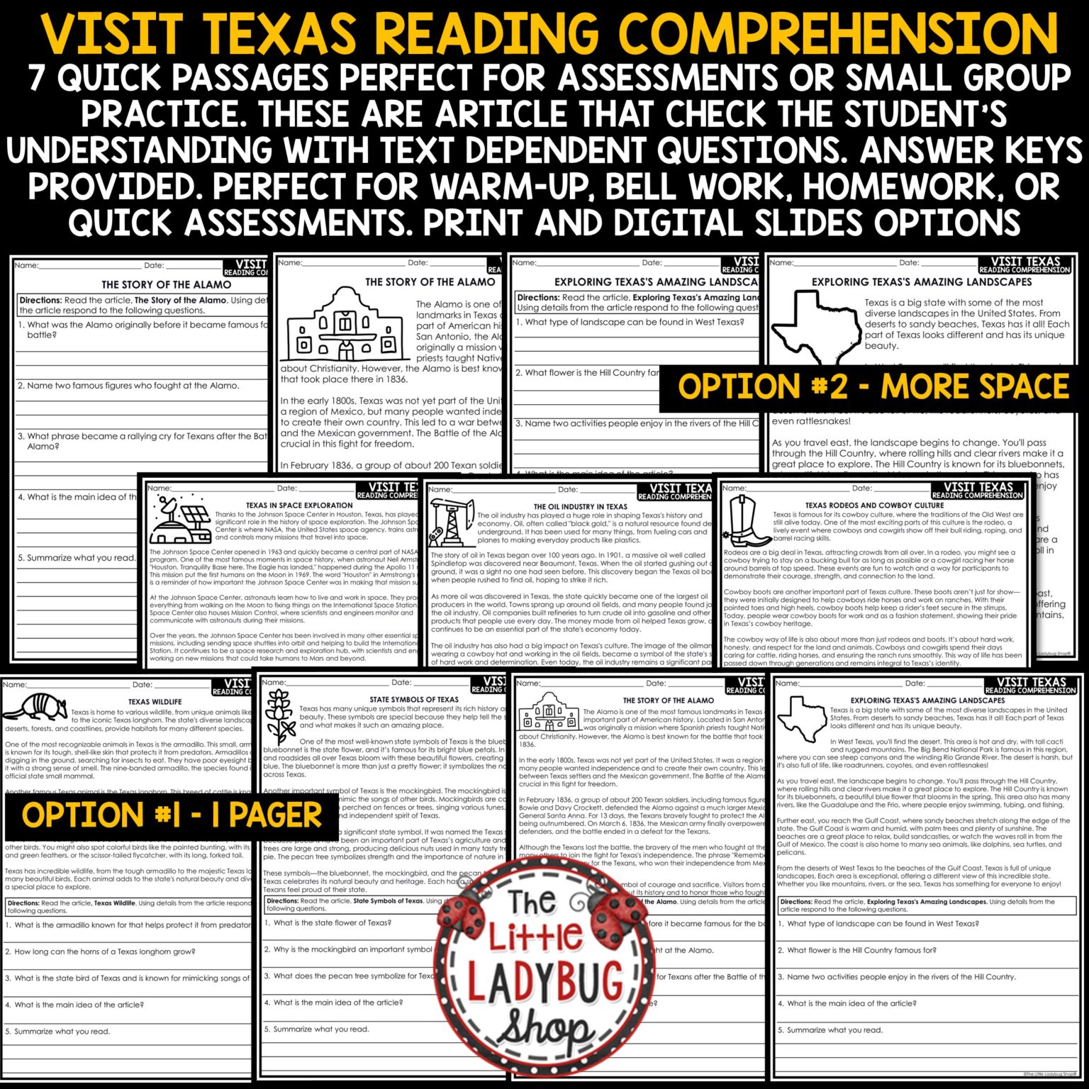 Texas Reading Comprehension Passages 3rd 4th Grade - The Little Ladybug ...