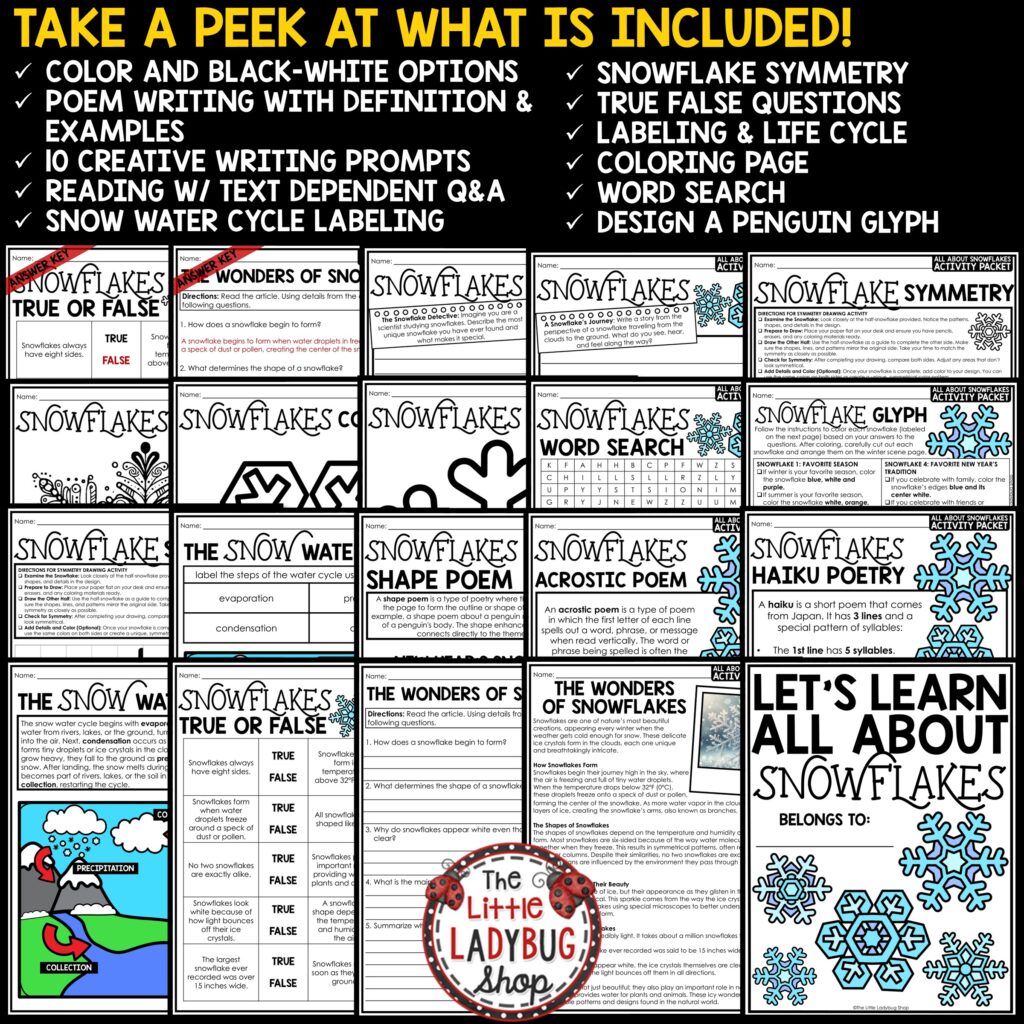 All About Snowflakes Reading Passage Snow Life Cycle - The Little ...