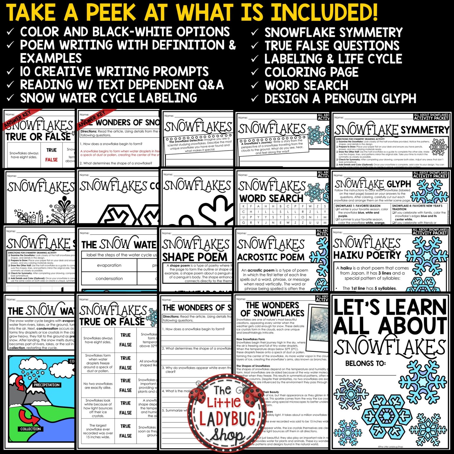 All About Snowflakes Reading Passage Snow Life Cycle - The Little ...